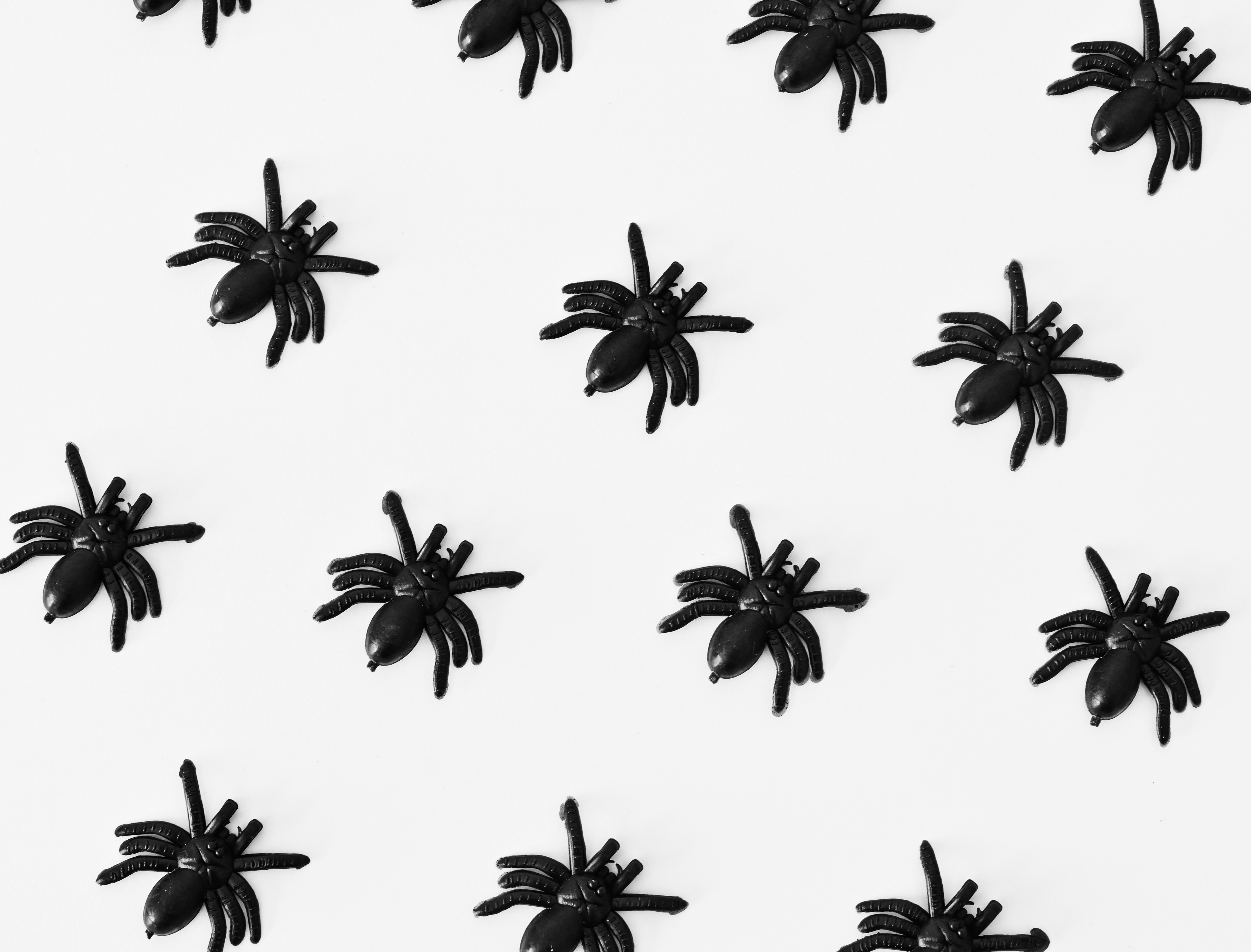 Collection of black plastic spiders arranged in a playful pattern against a white background.