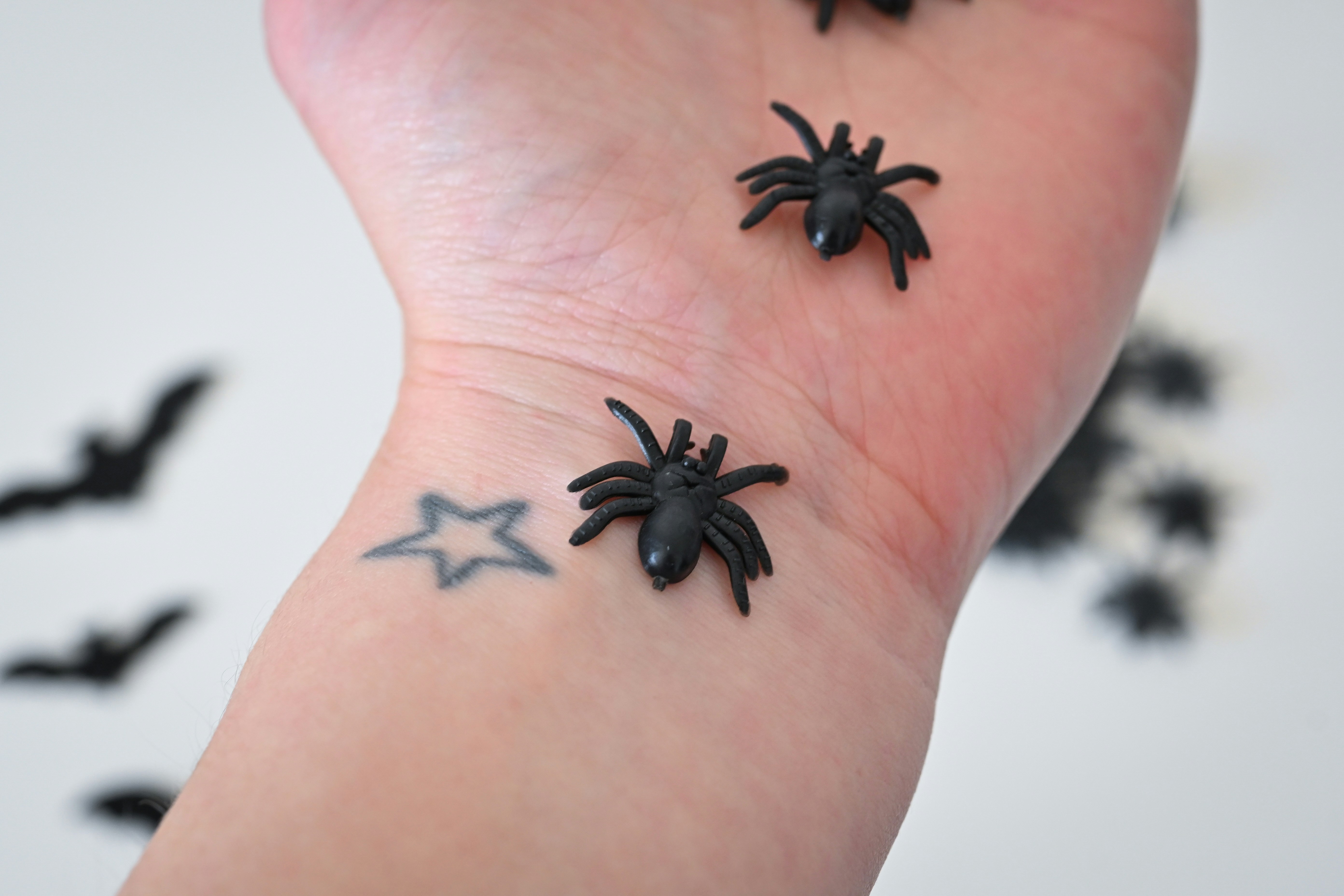 A close up of a hand with a spider on it photo – Free Human Image on ...