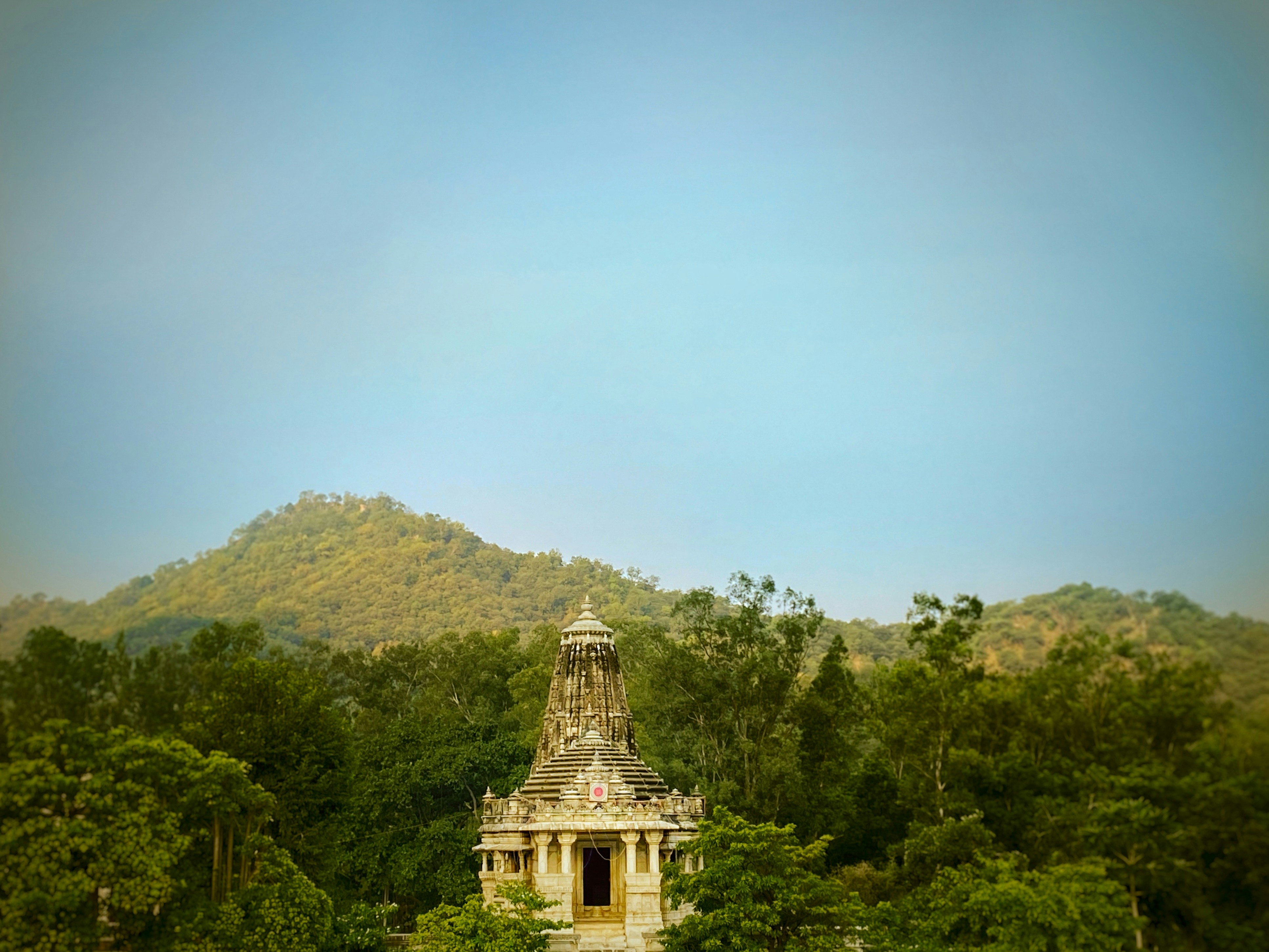 a building surrounded by trees