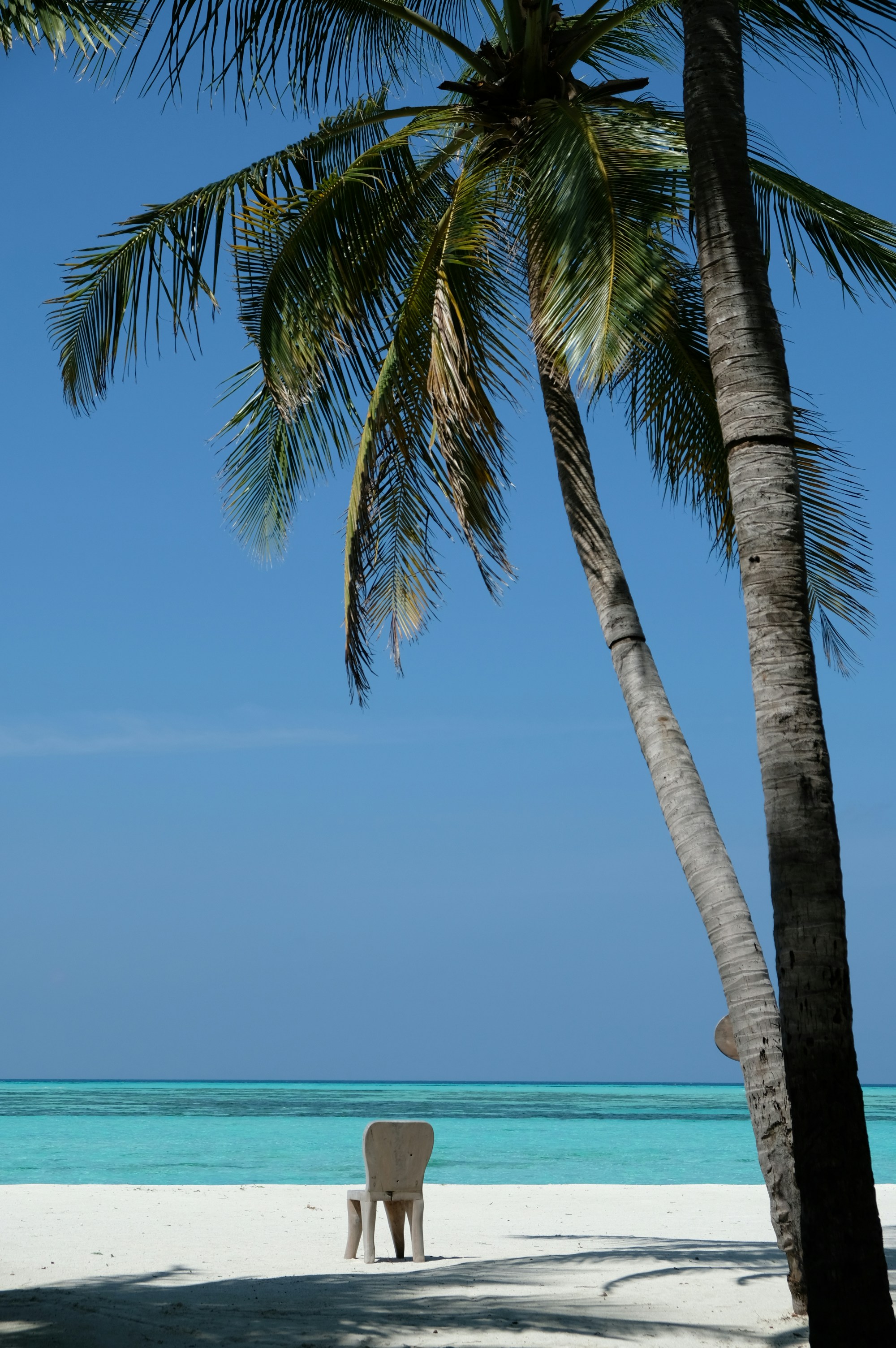 A solitary chair sits on a pristine beach, framed by swaying palm trees under a clear blue sky. The tranquil turquoise waters stretch into the horizon.