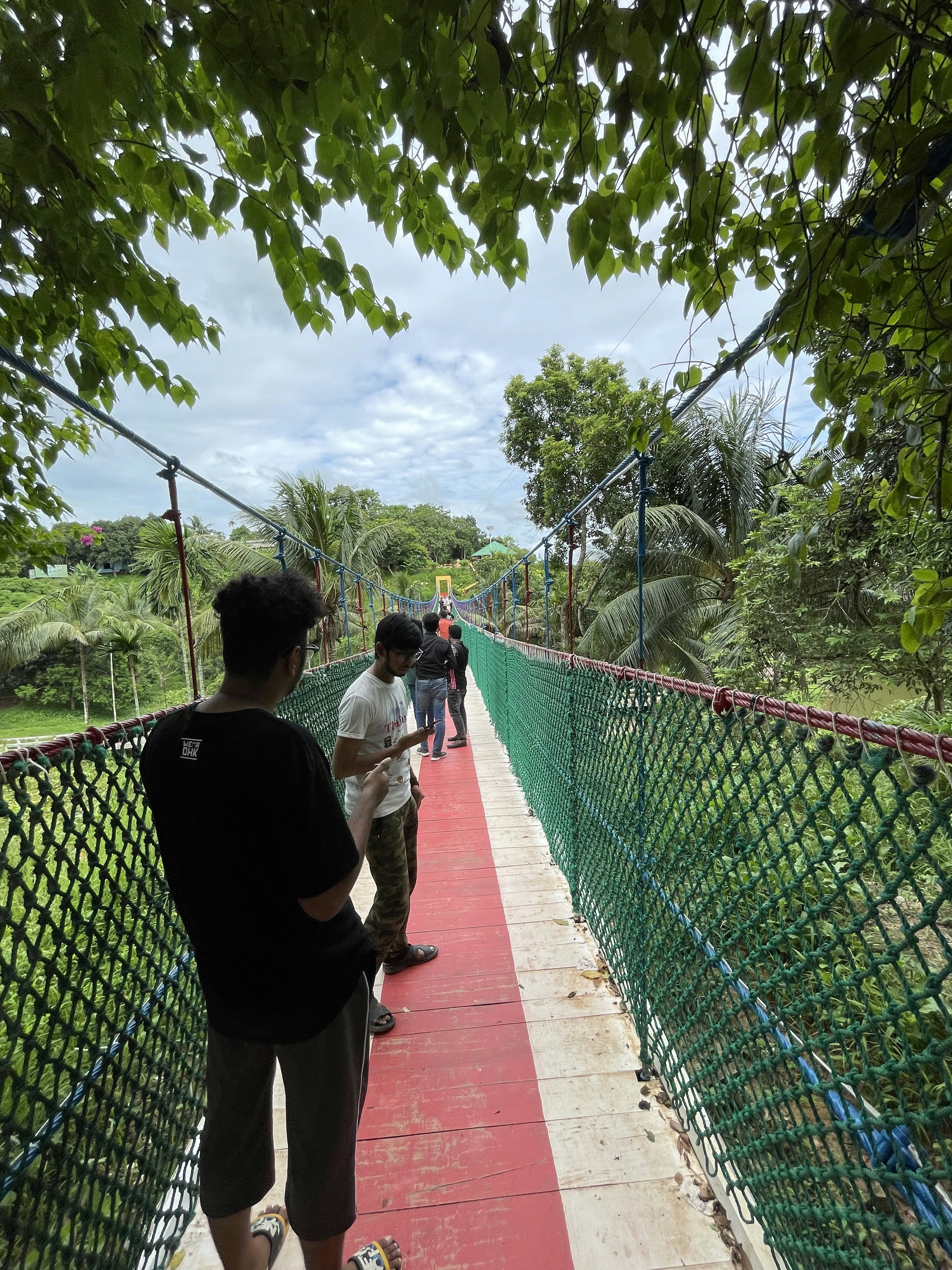 A group of people walking on a path between green fences photo – Free ...