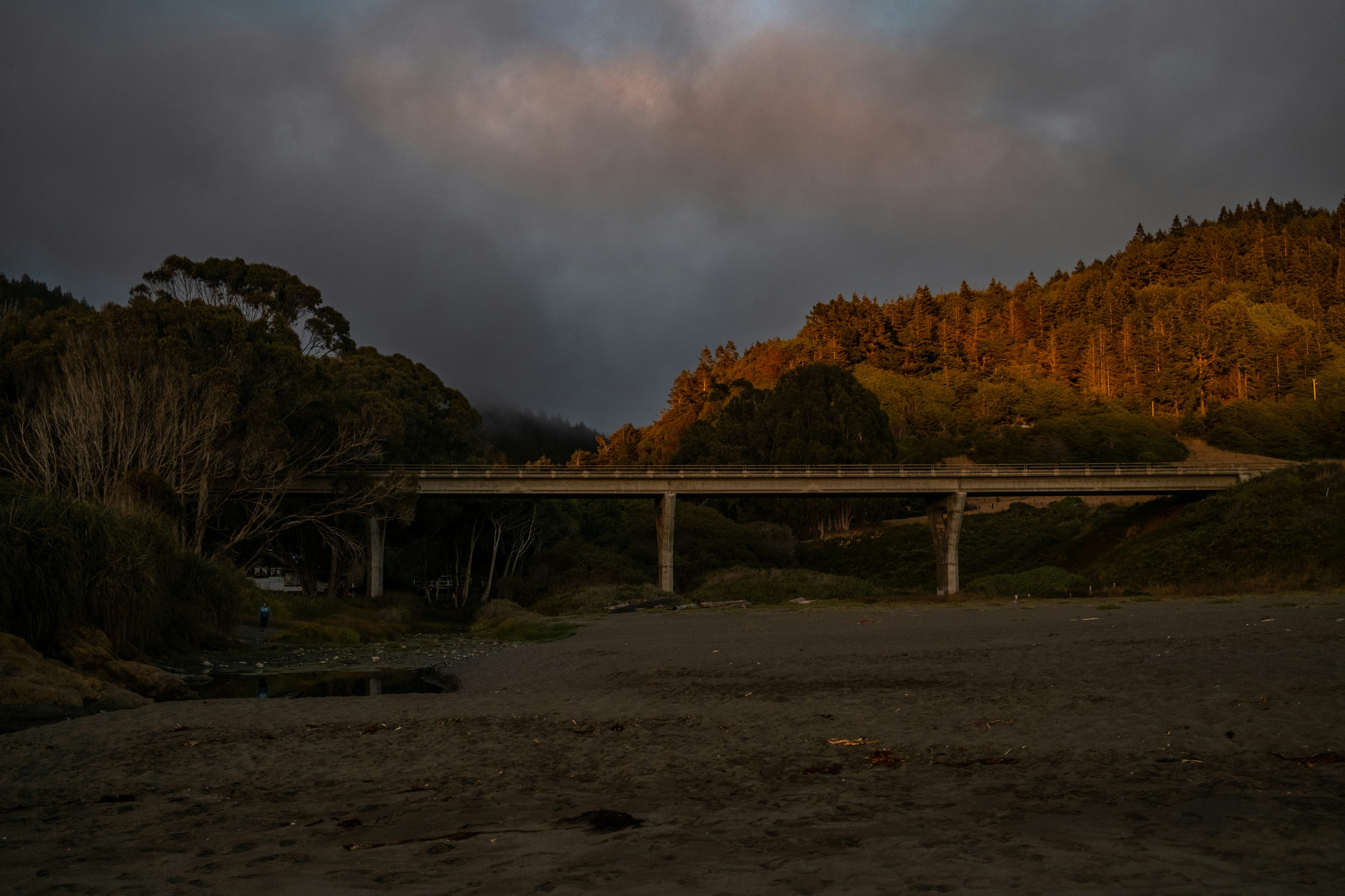 Golden Light Over the Coastal Viaduct