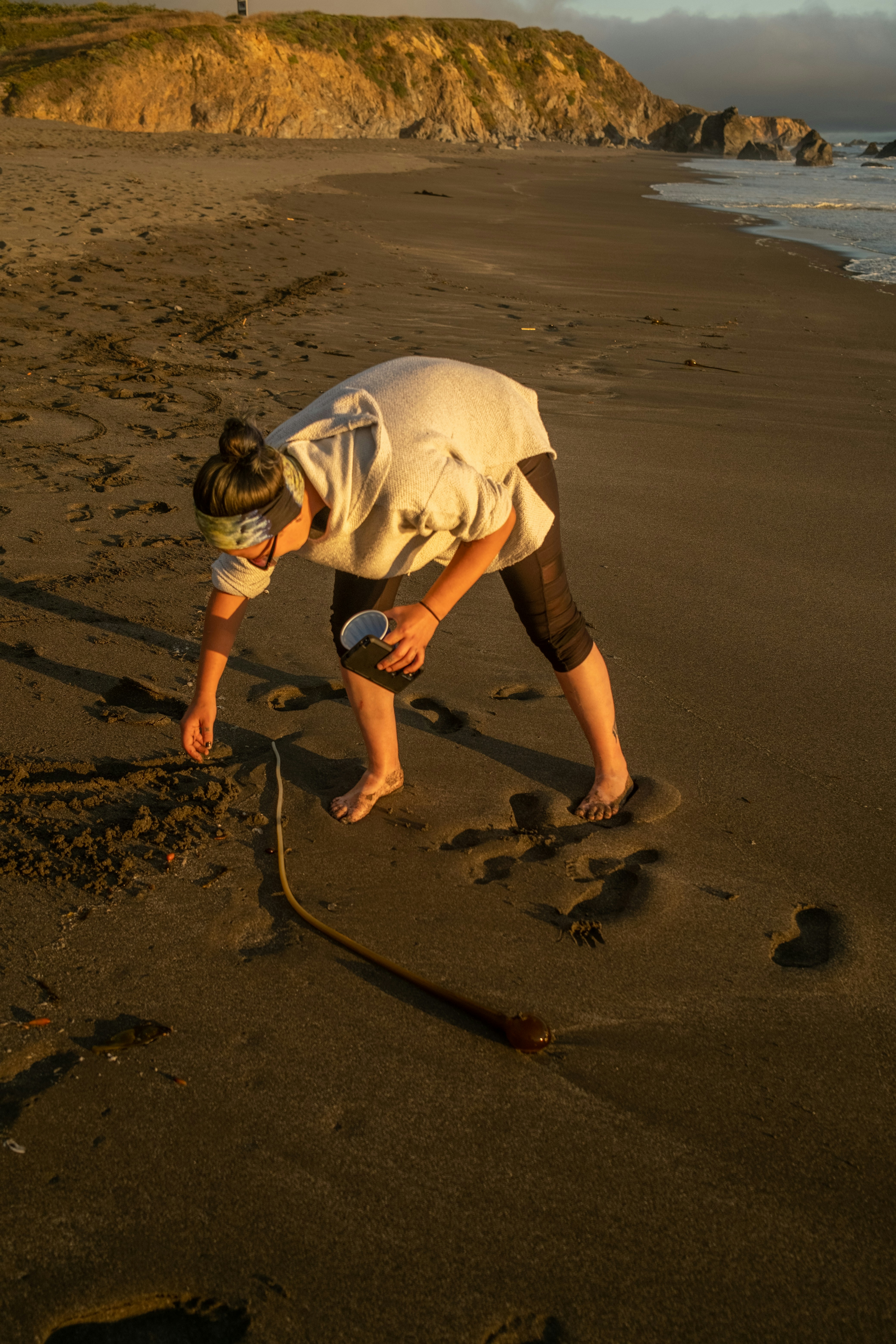 Golden Hour Driftwood Probe on a Quiet Beach