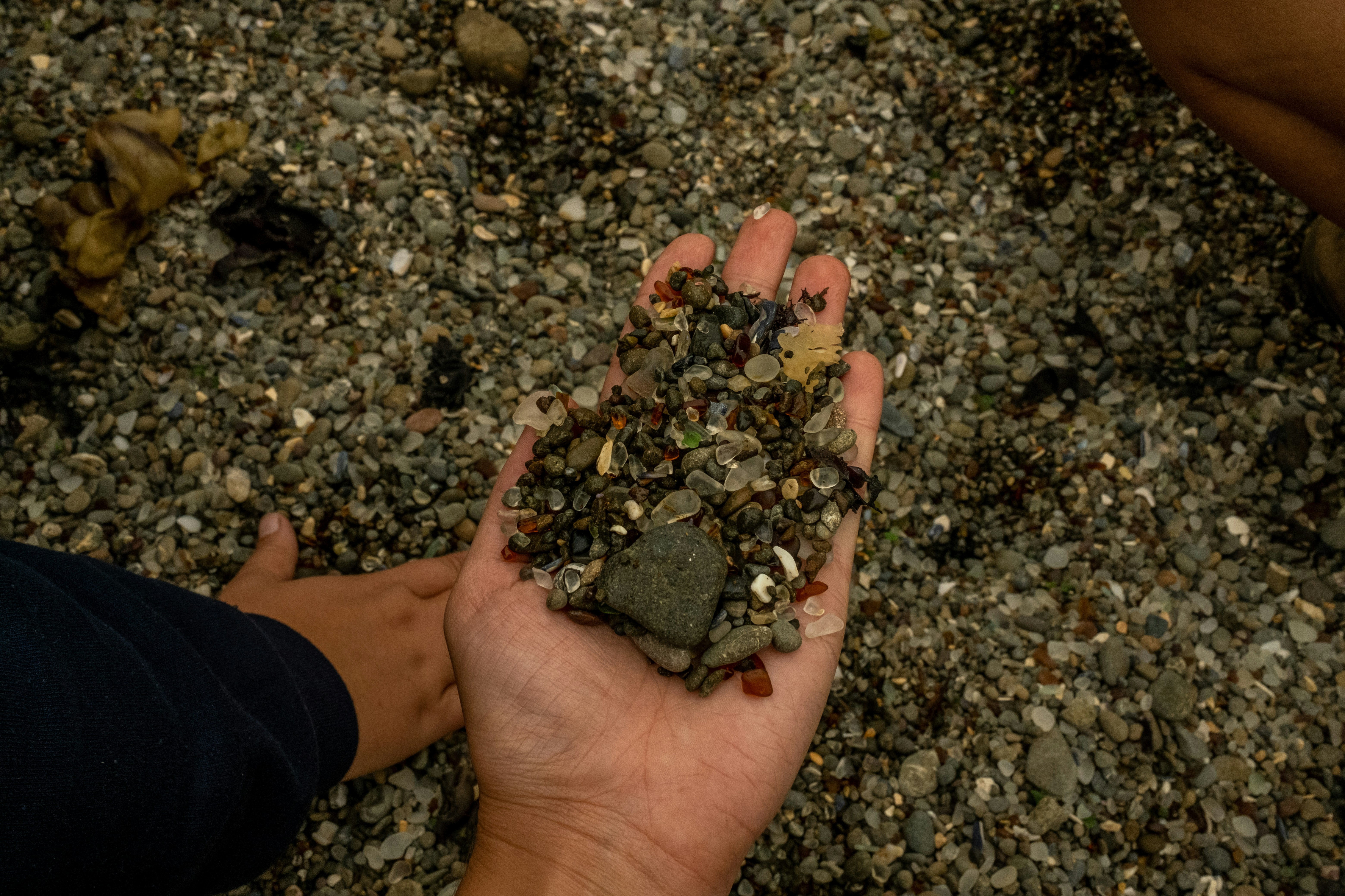 Pebble Mosaic in Tiny Hands: Shoreline Treasures in a Quiet Moment