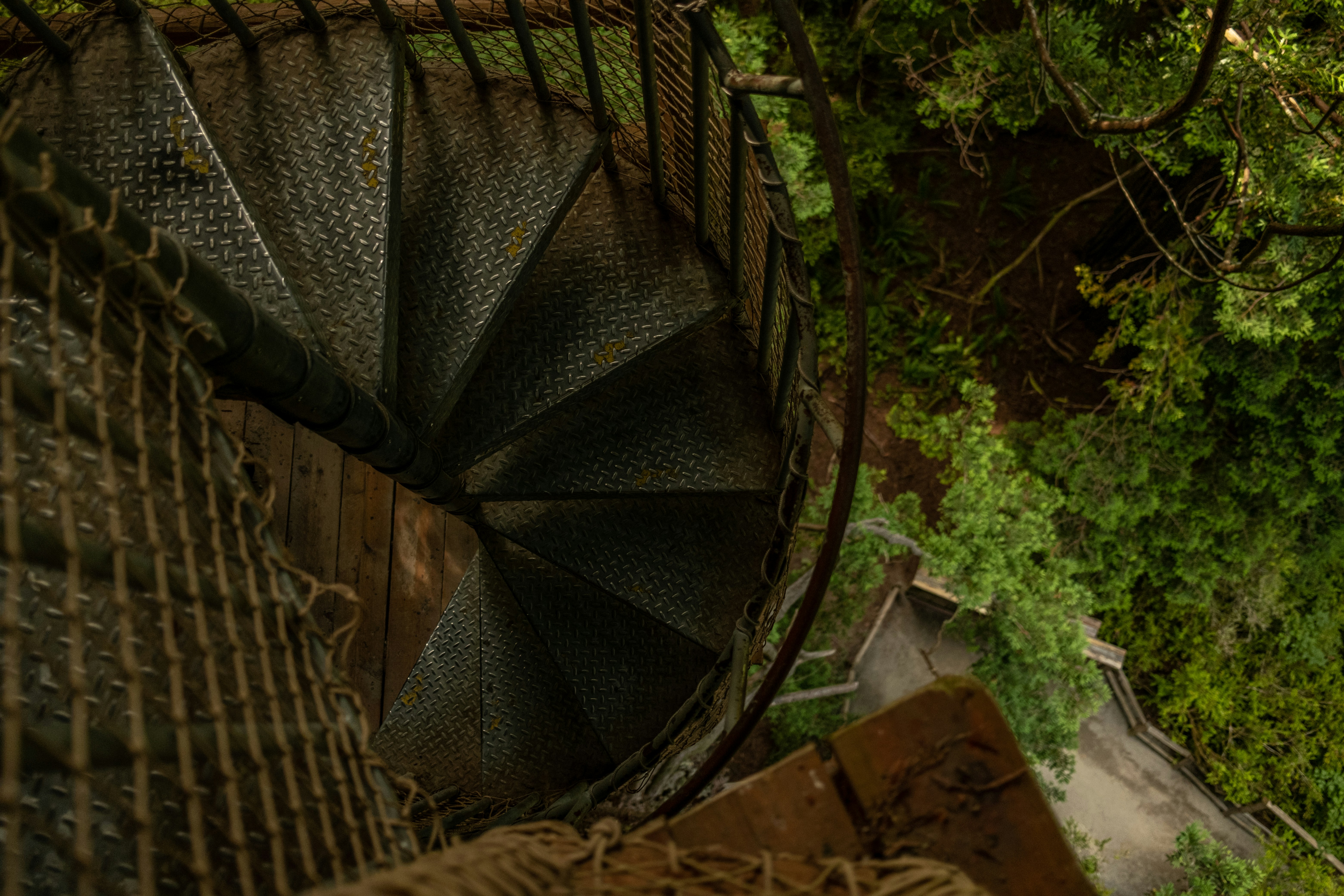 Aerial view of a spiral staircase descending through lush greenery, showcasing the interplay of metal and wood against vibrant foliage.
