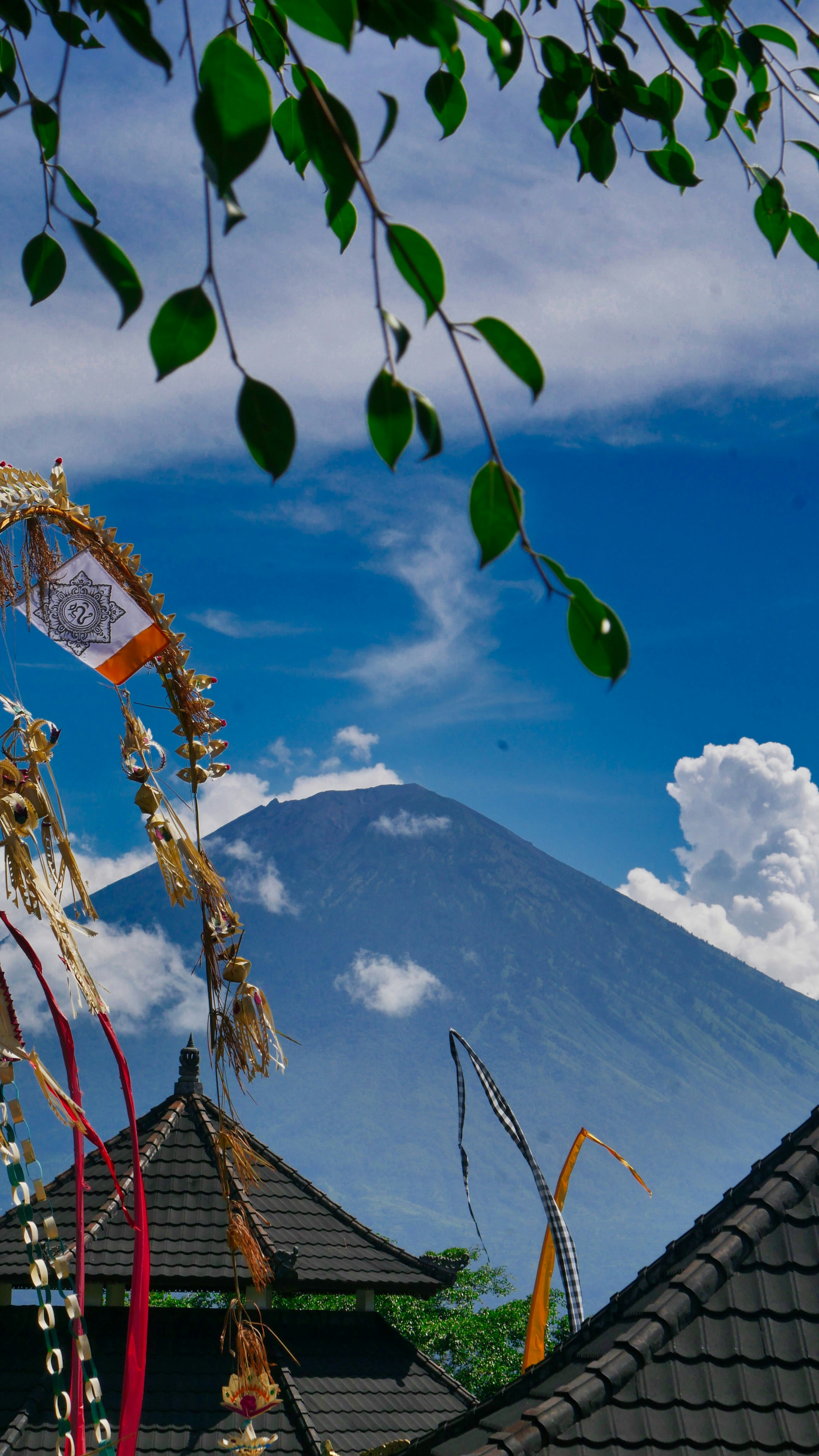 Cultural Harmony Amidst Nature's Majesty