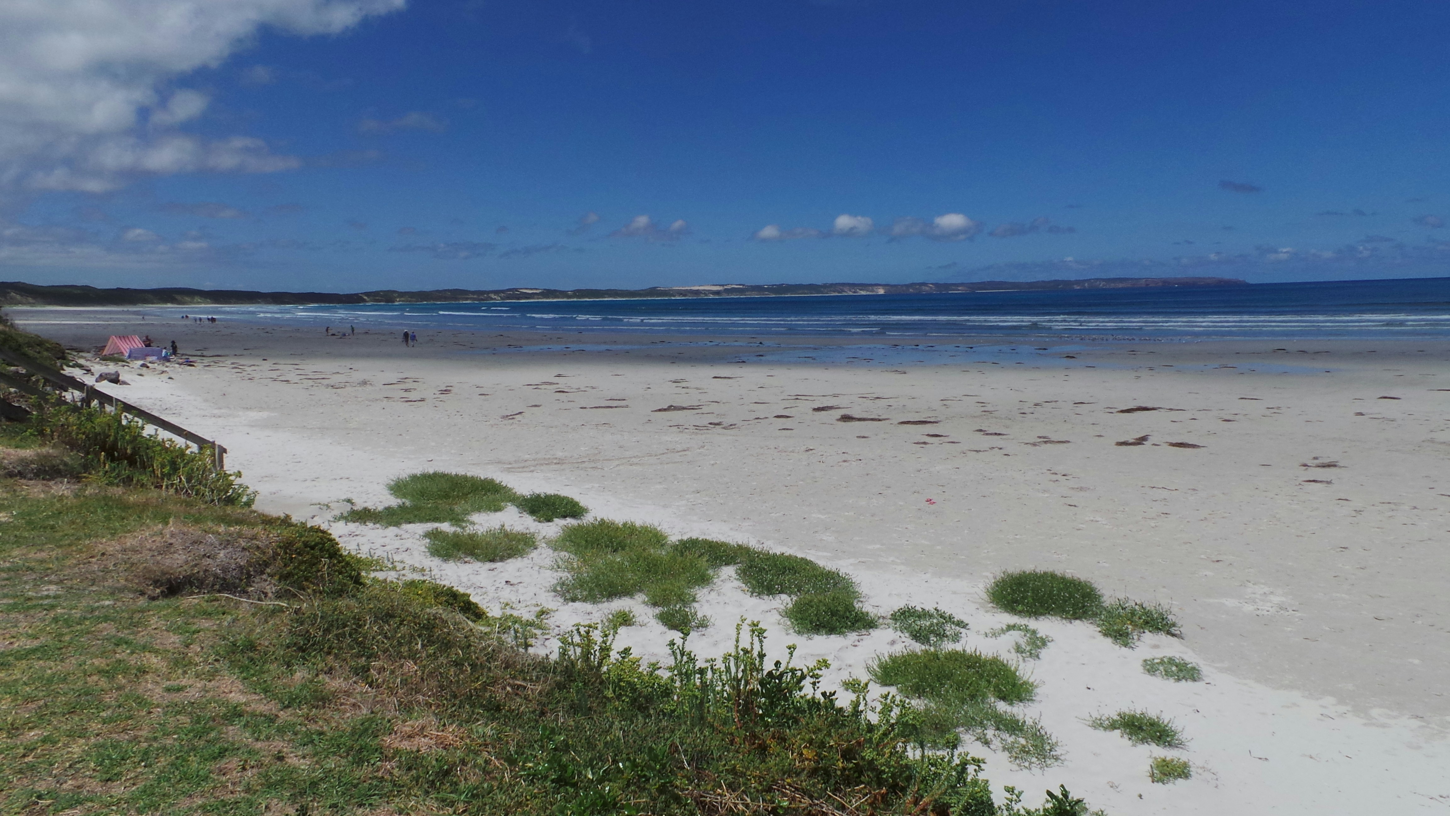 Dune Edge to the Sea: A Quiet Coastal Vista with Distant Beachgoers