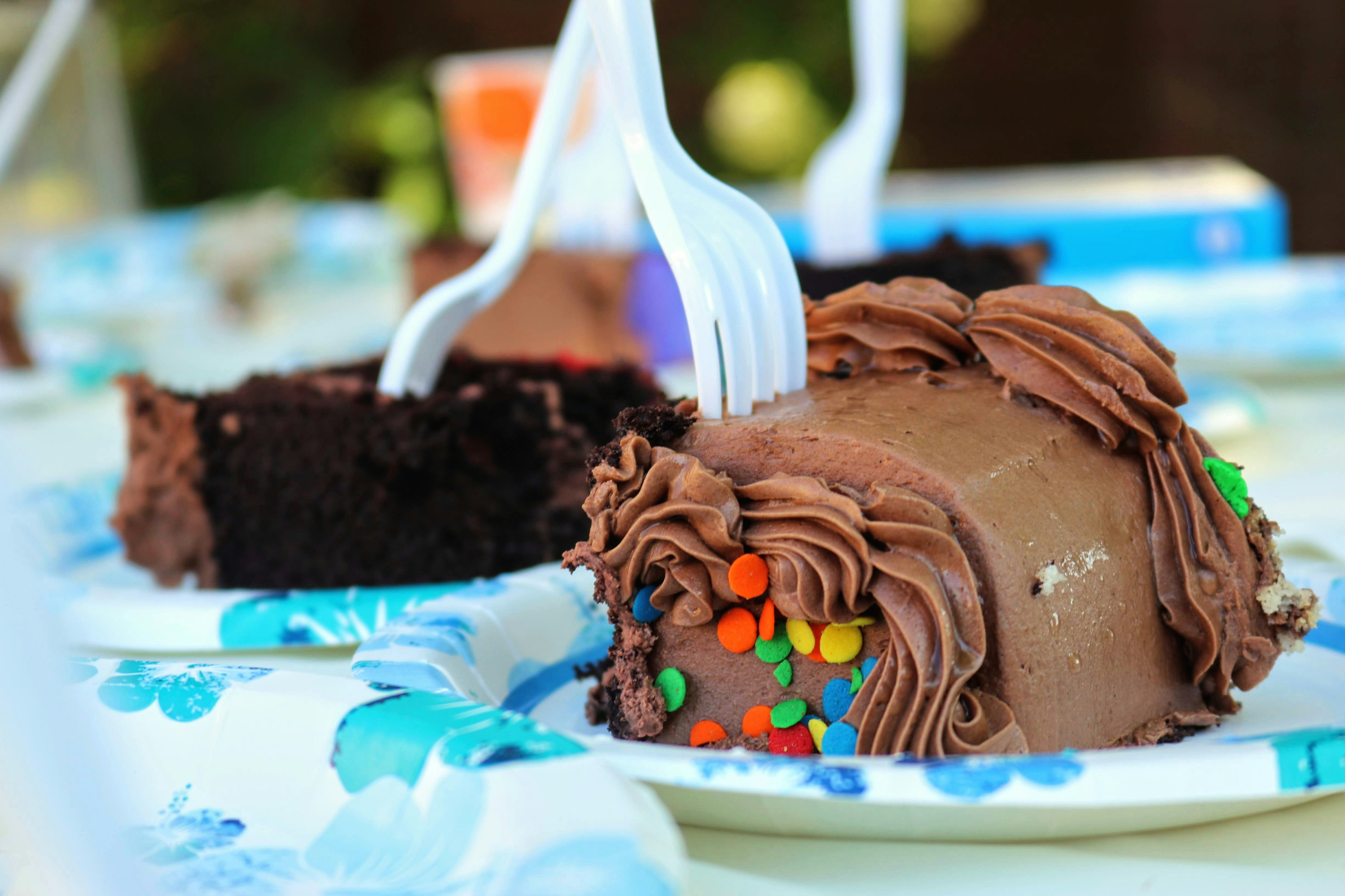 Chocolate Cream Pastry with Sprinkled Candy on a Blue Floral Plate