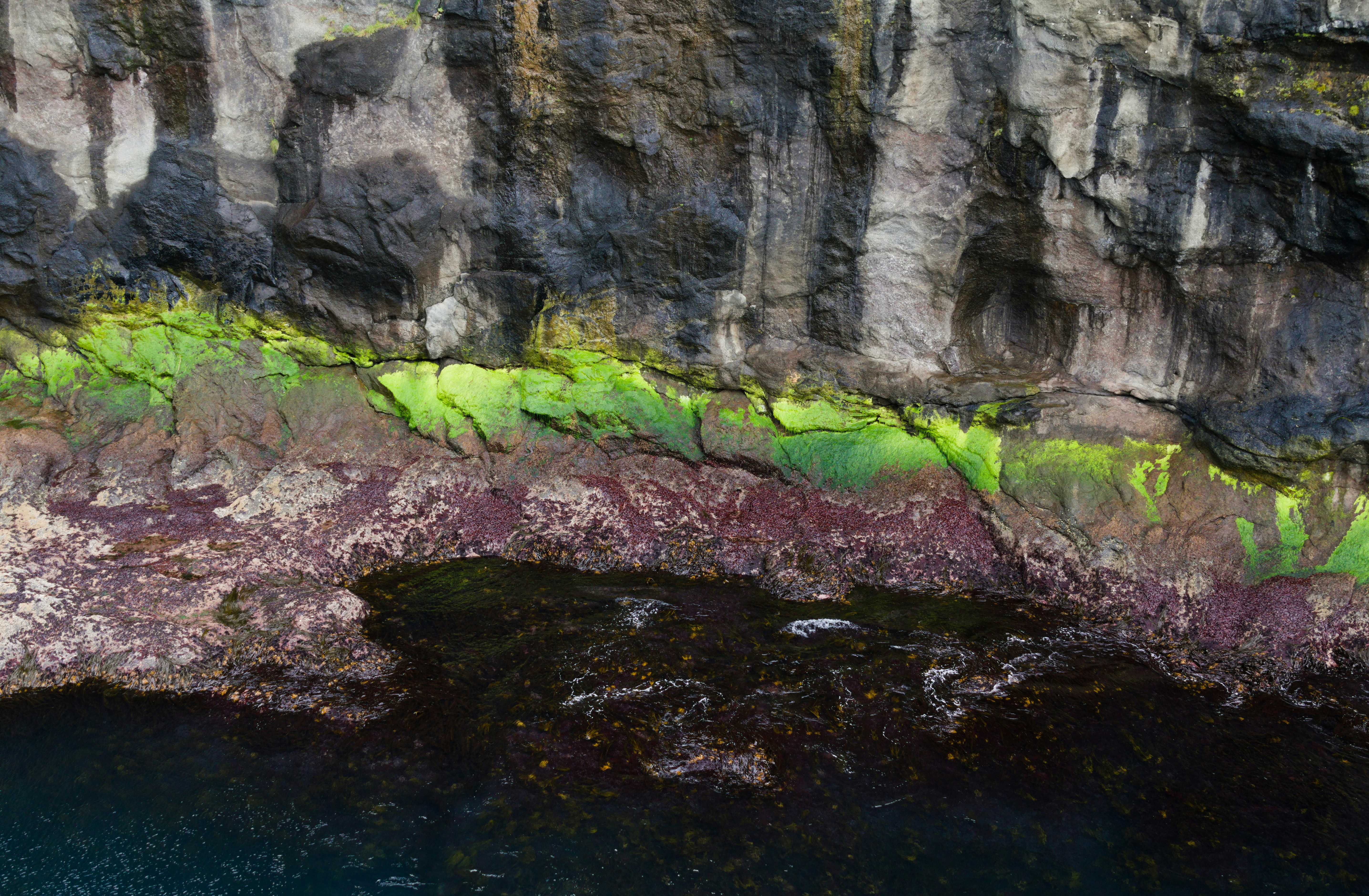 Verdigris Edge: Neon Moss Clinging to a Tidal Cliff