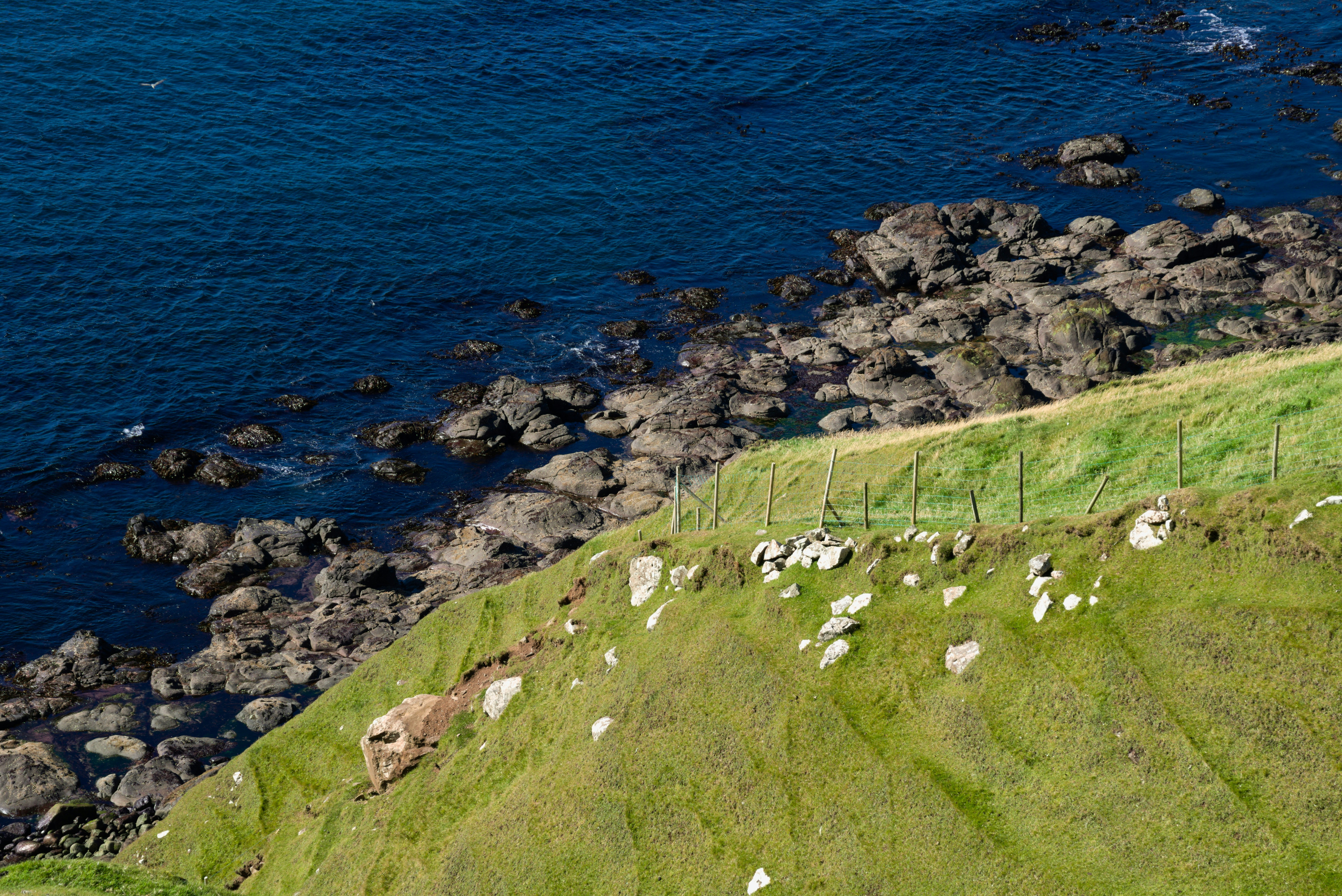 Cliffside Pasture Meeting the Sea
