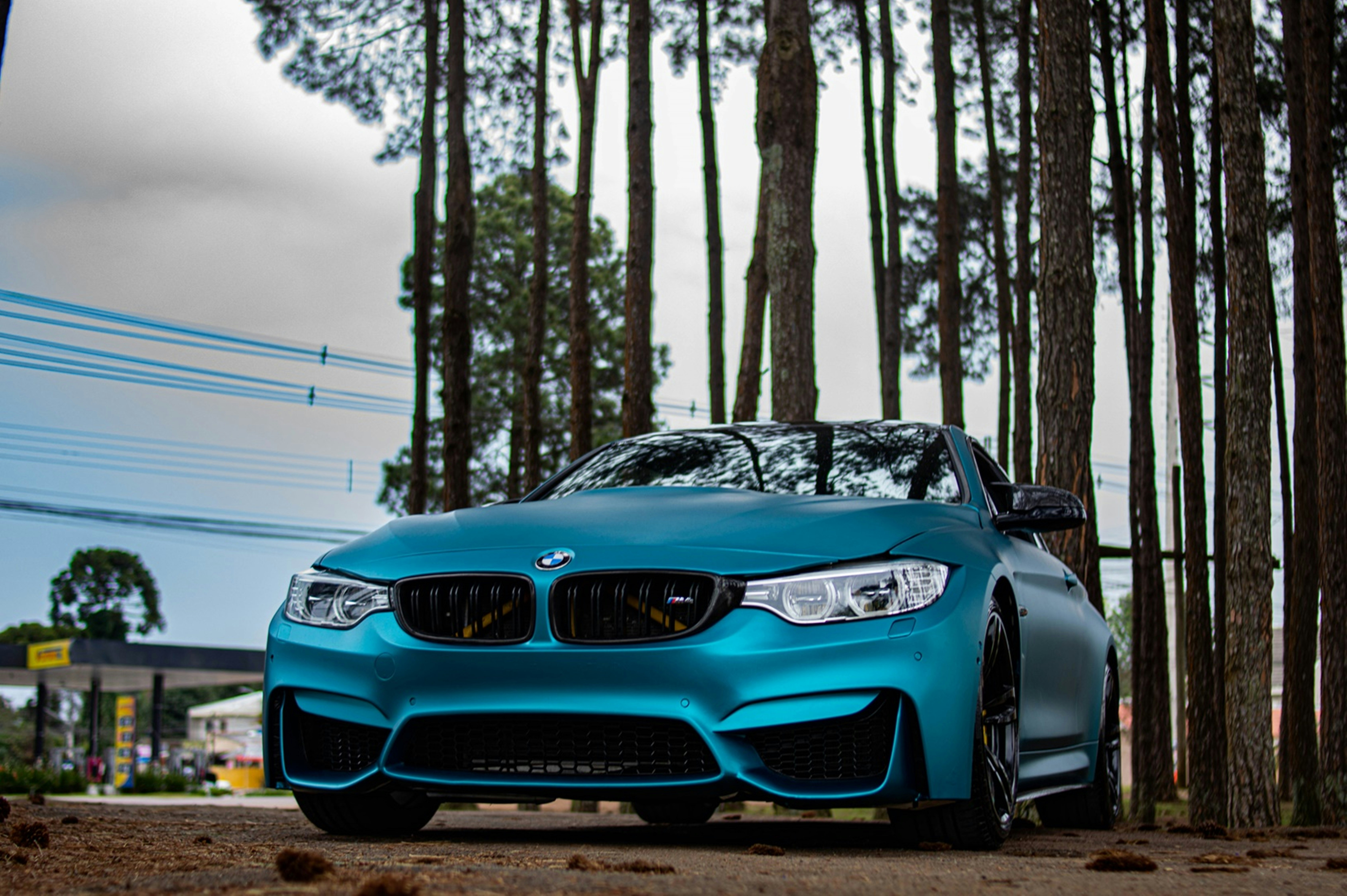 Matte blue car parked in front of tall pine trees under a cloudy sky.
