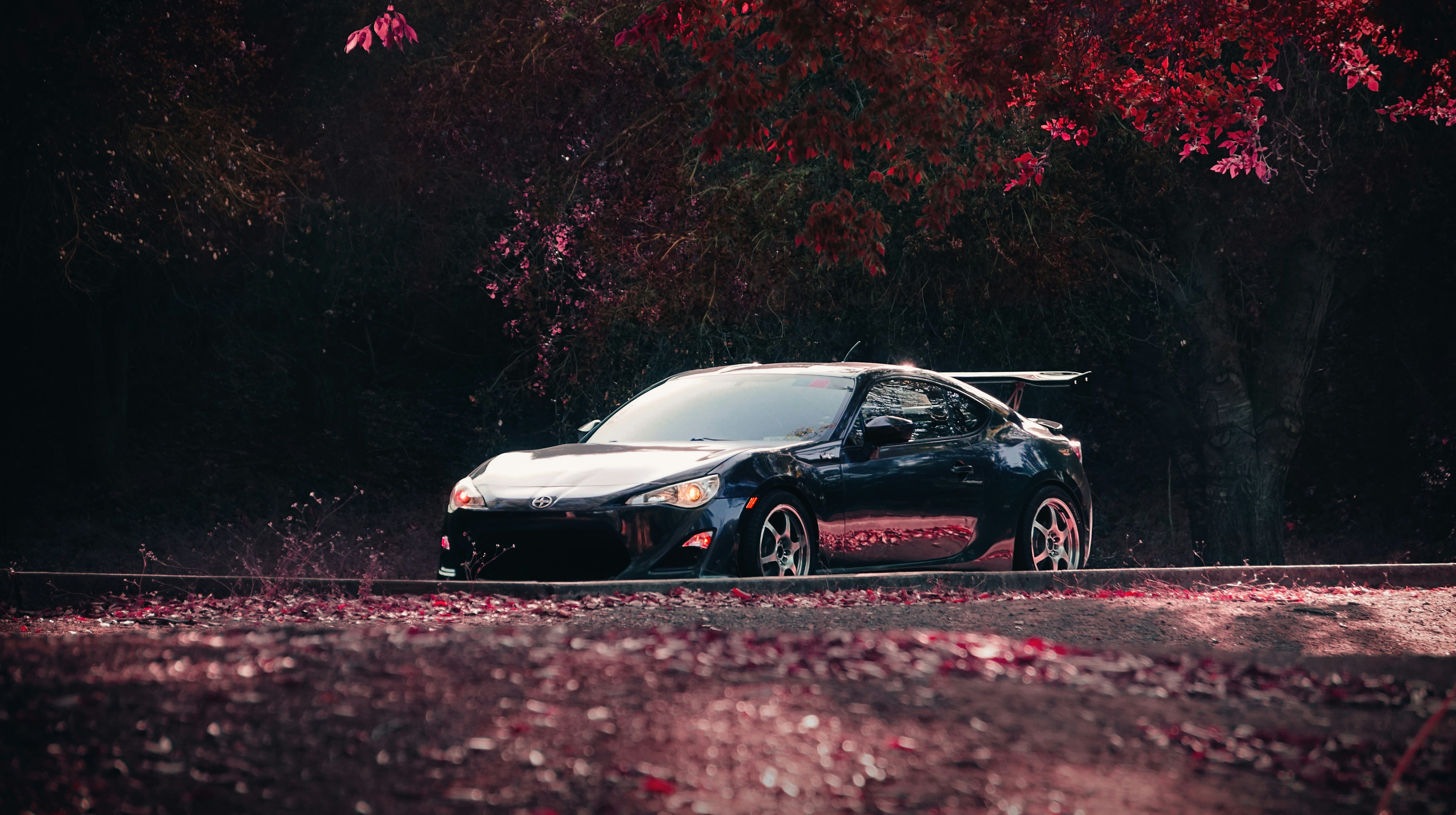 Velvet Night Drive: A Black Coupe Under a Pink-Flowered Sky