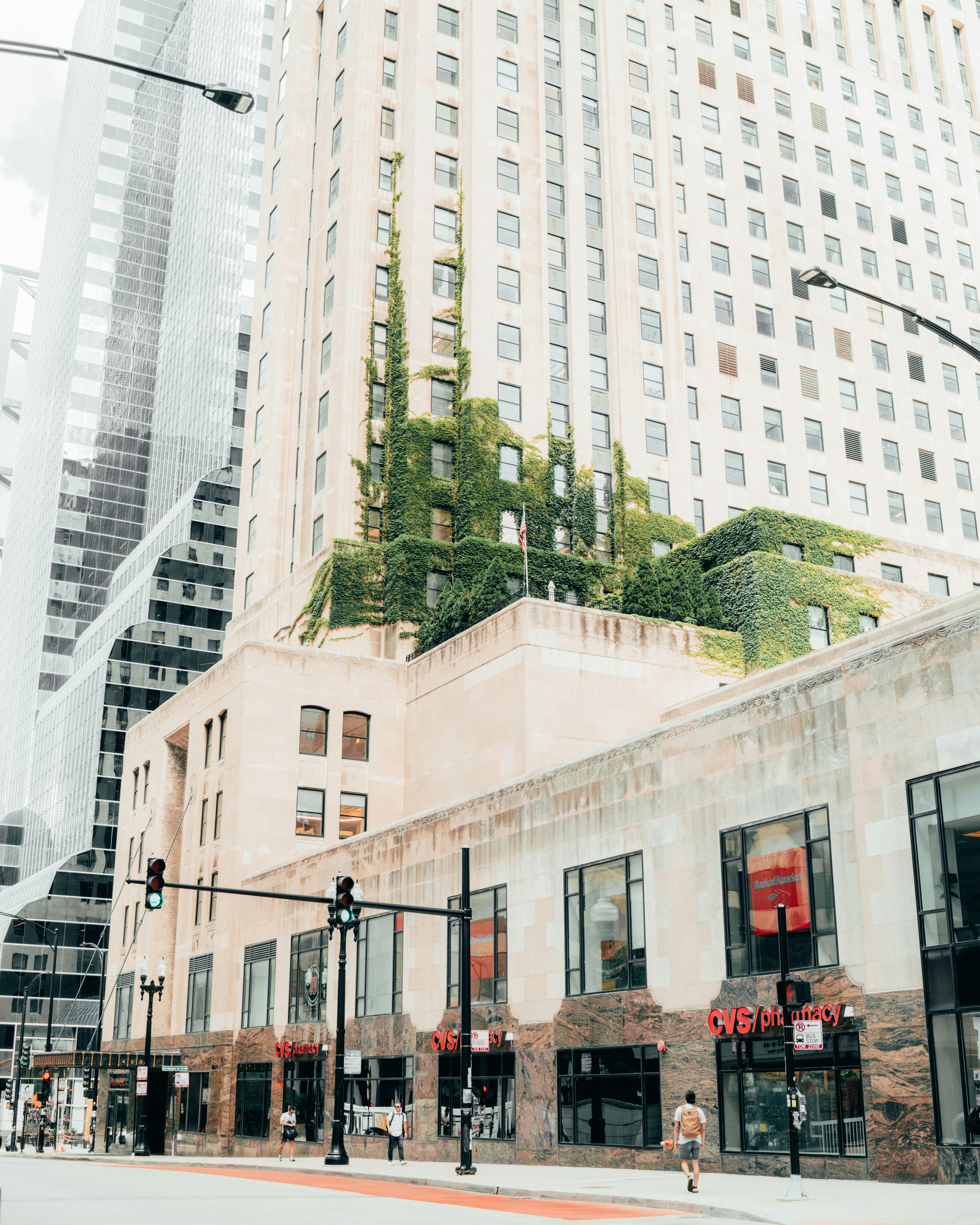 Urban Canyon: Rooftop Greens Amid Street-Level Glass and Brick