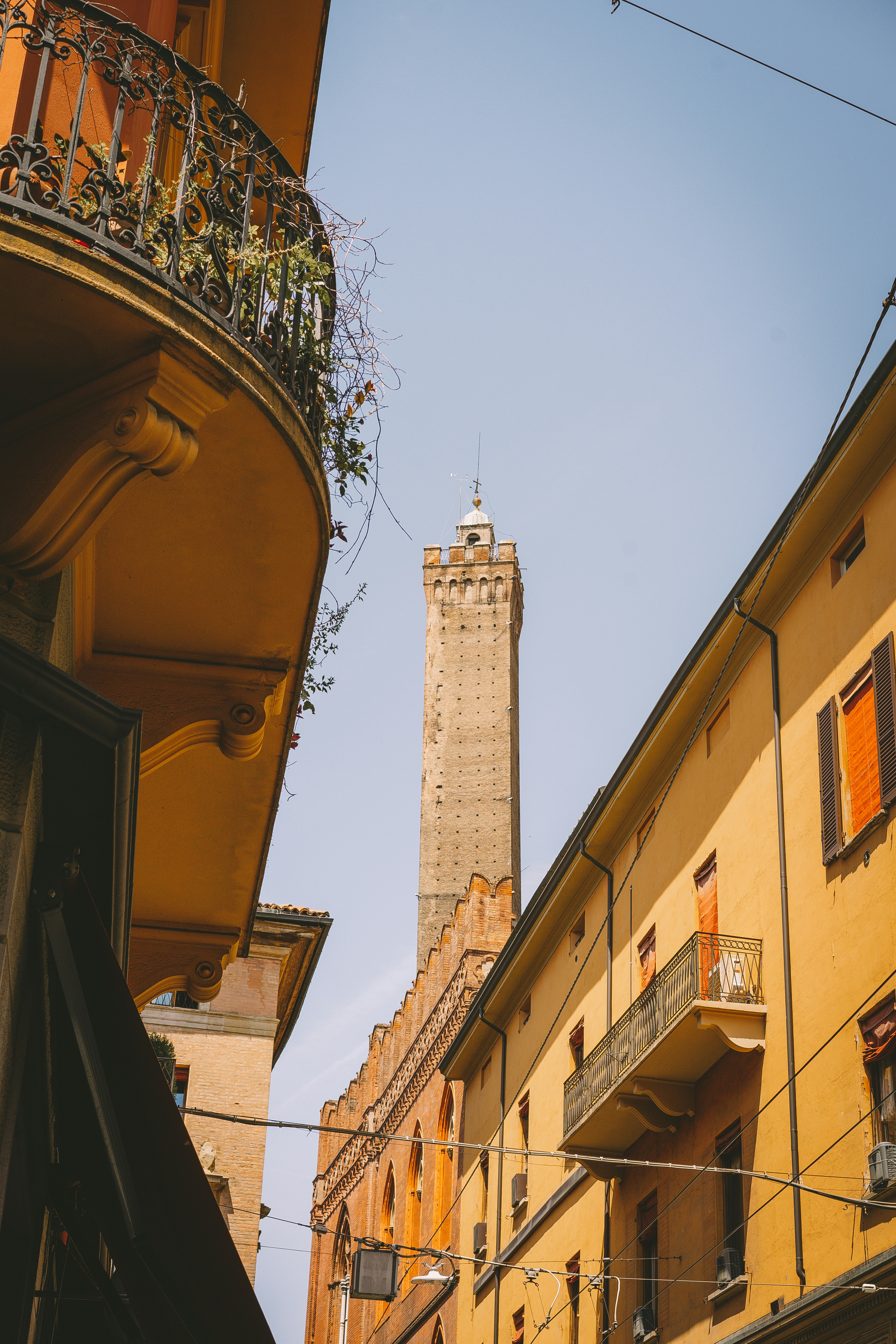 Photo by Caroline Roose with Sony Alpha 7 II