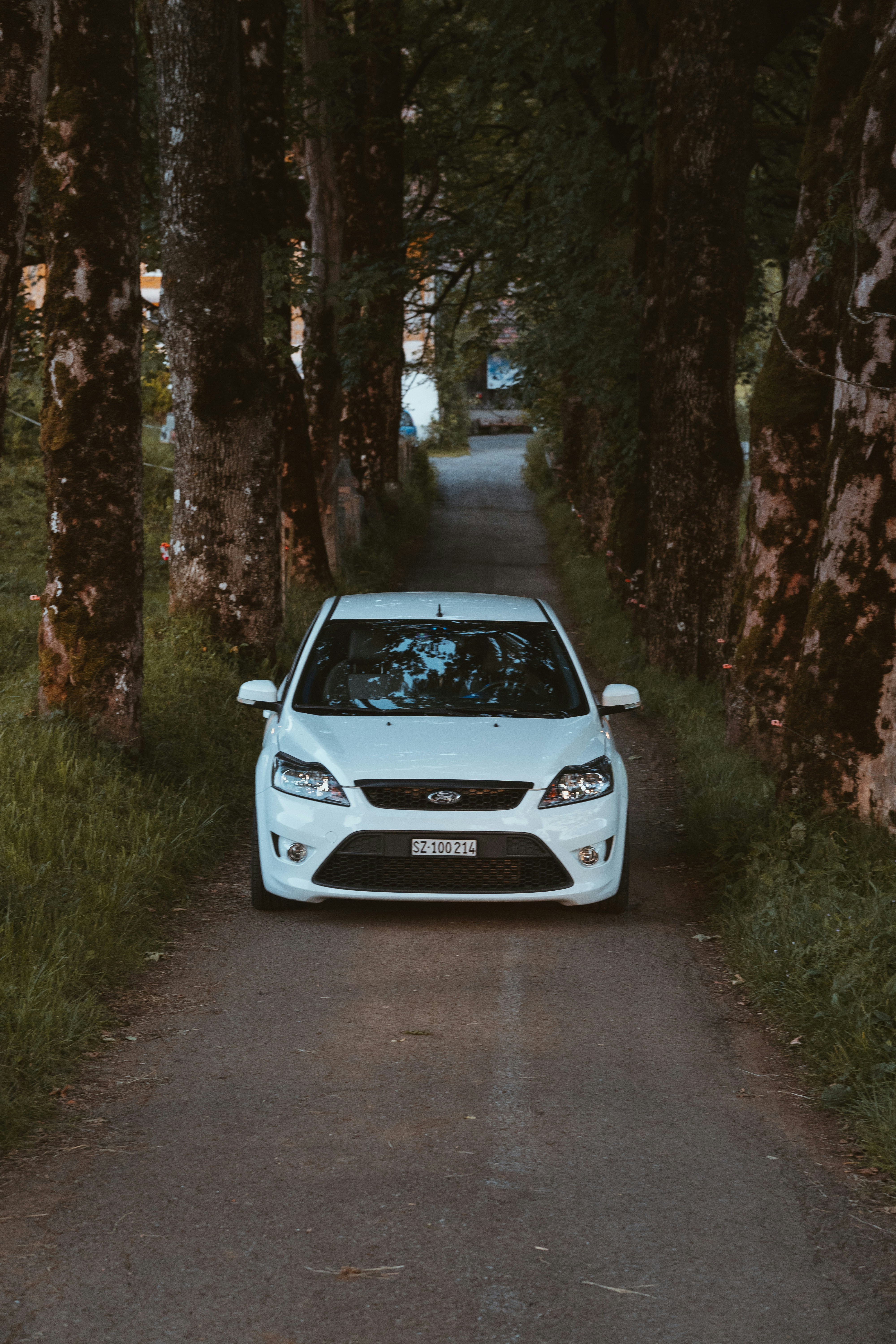 a white car parked on a road surrounded by trees