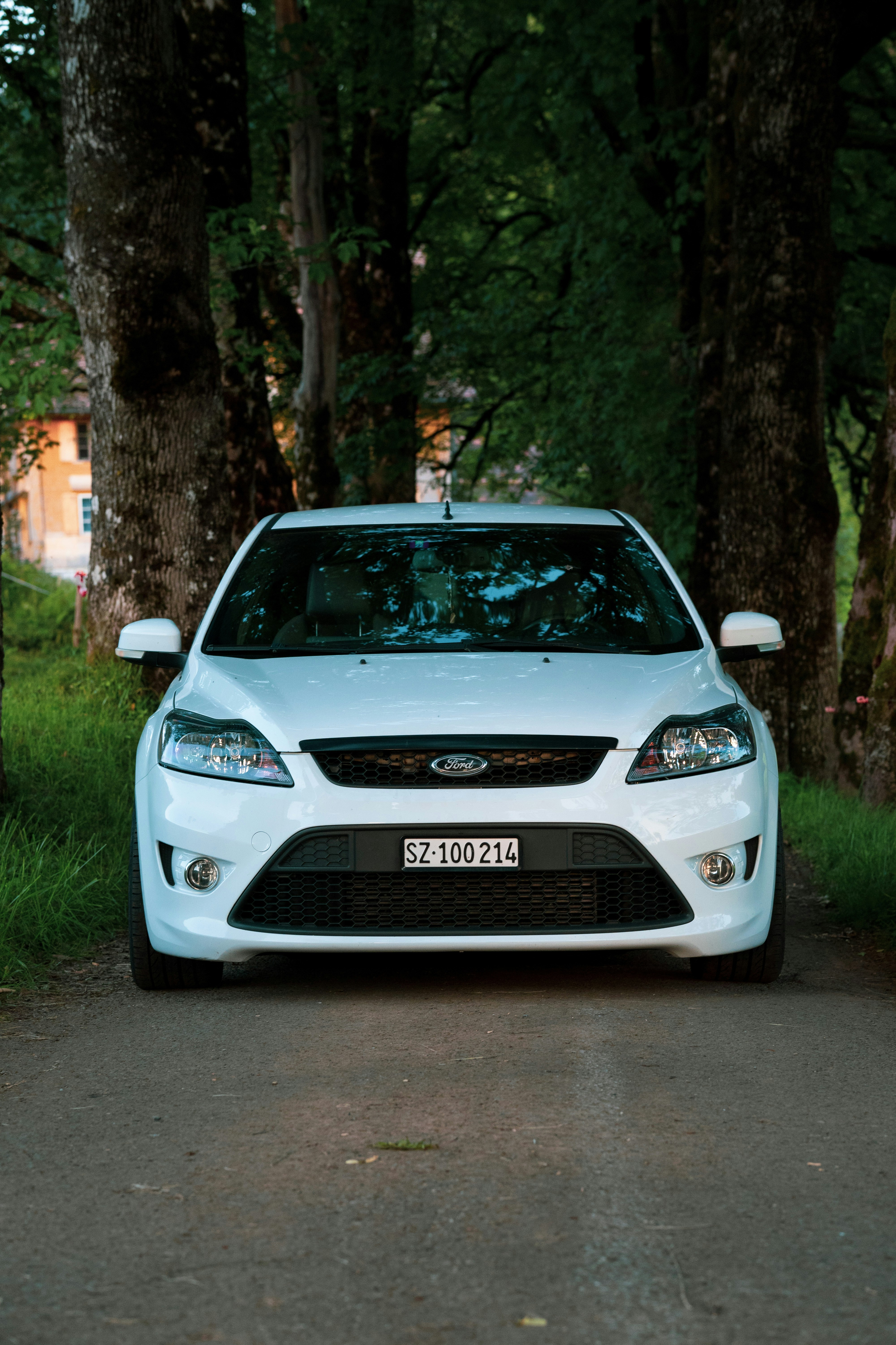 White Ford Emerges Through a Canopy of Trees