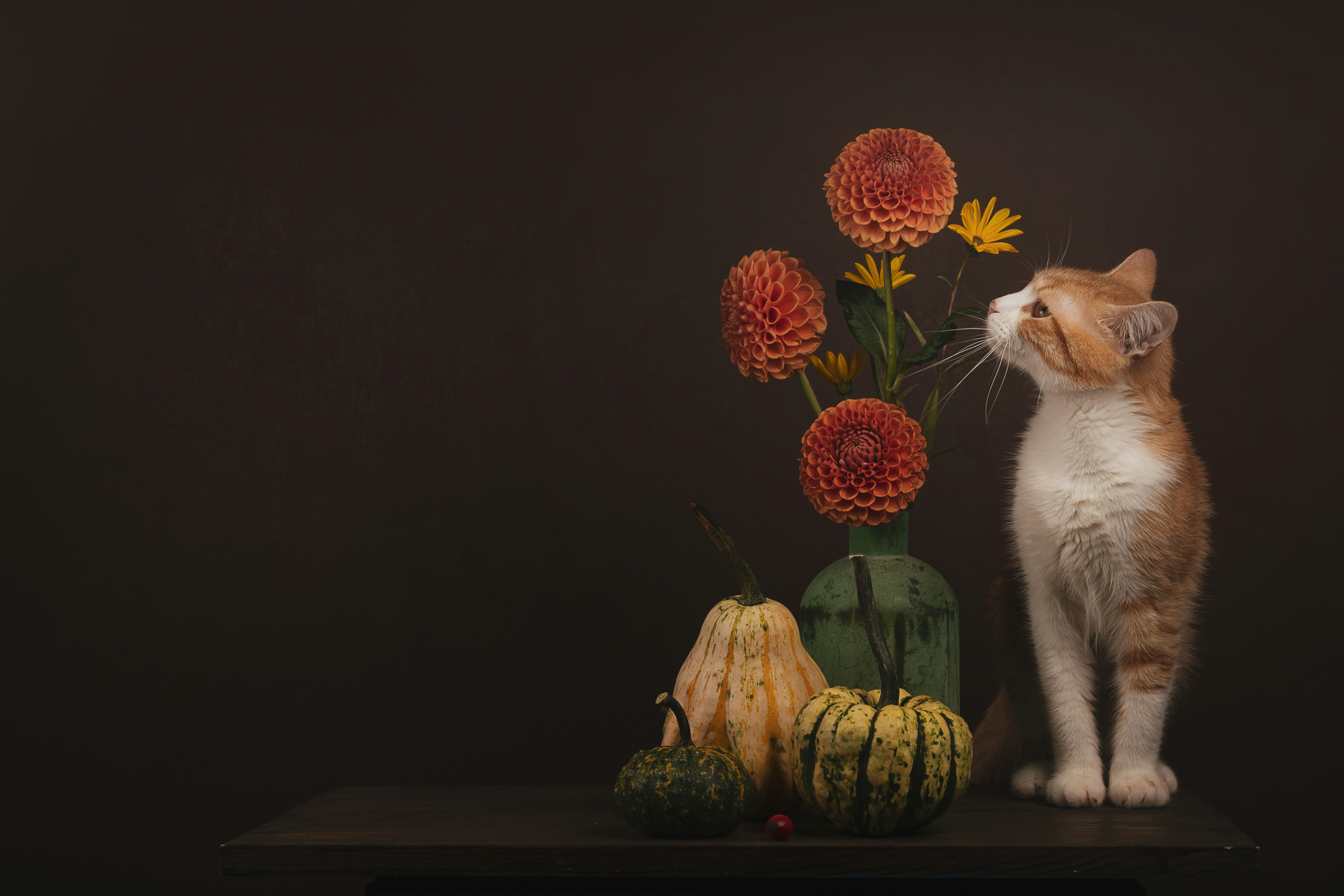 Still Life with Cat, Flowers and Pumpkins