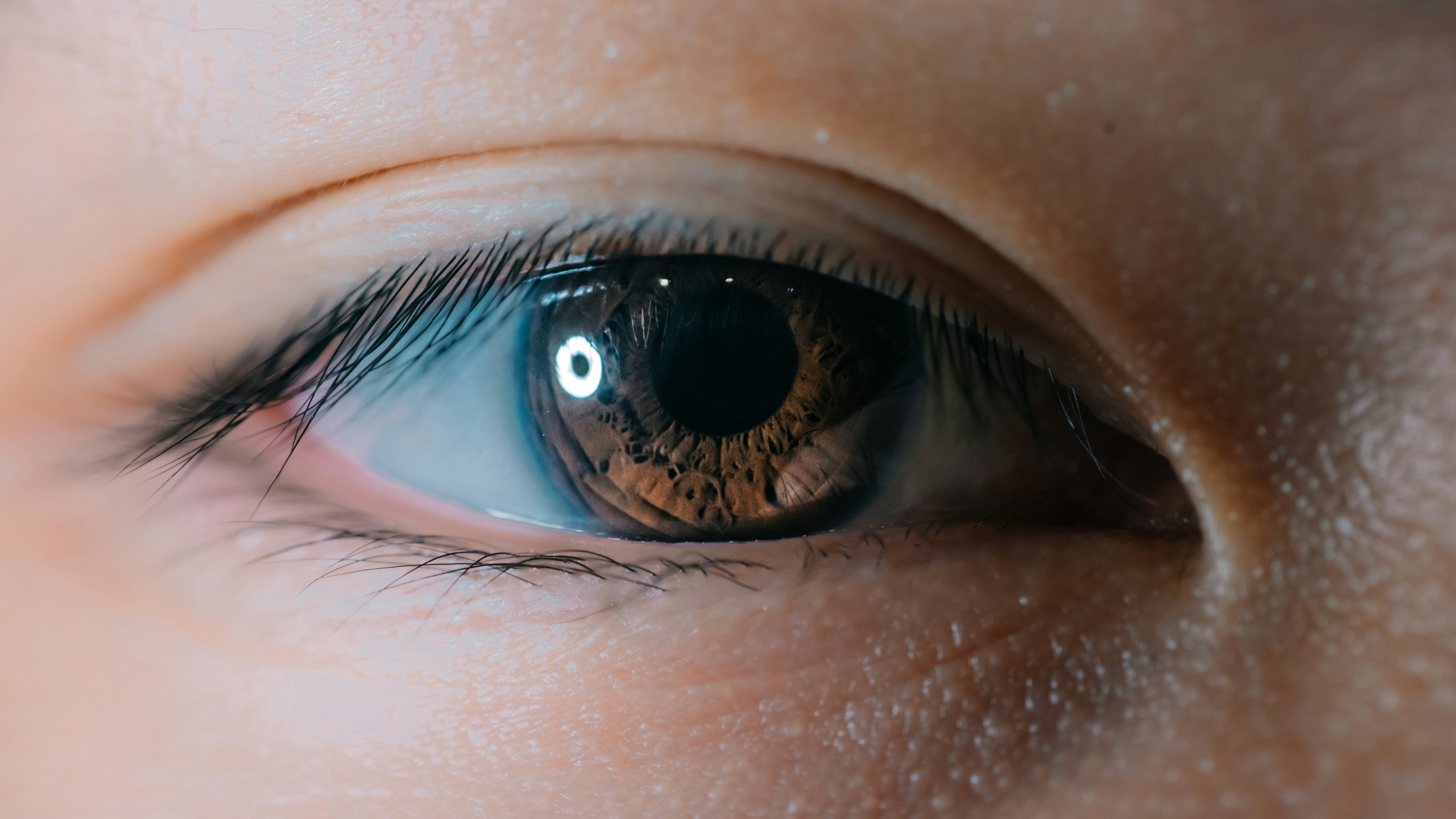 Close-up of a person's eye photo – Free Contact lens Image on Unsplash