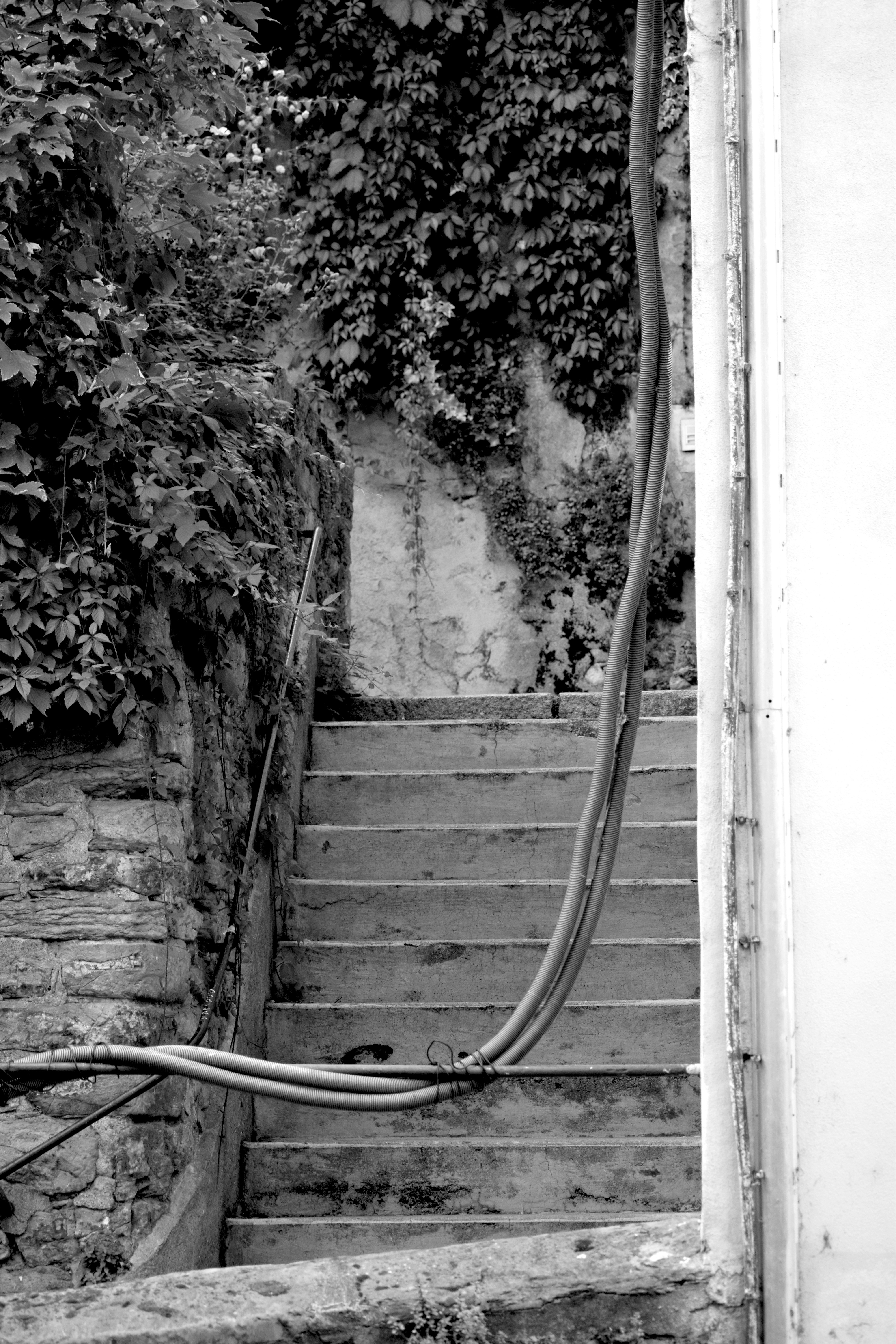 Photo by Renaud Confavreux with Nikon D5300