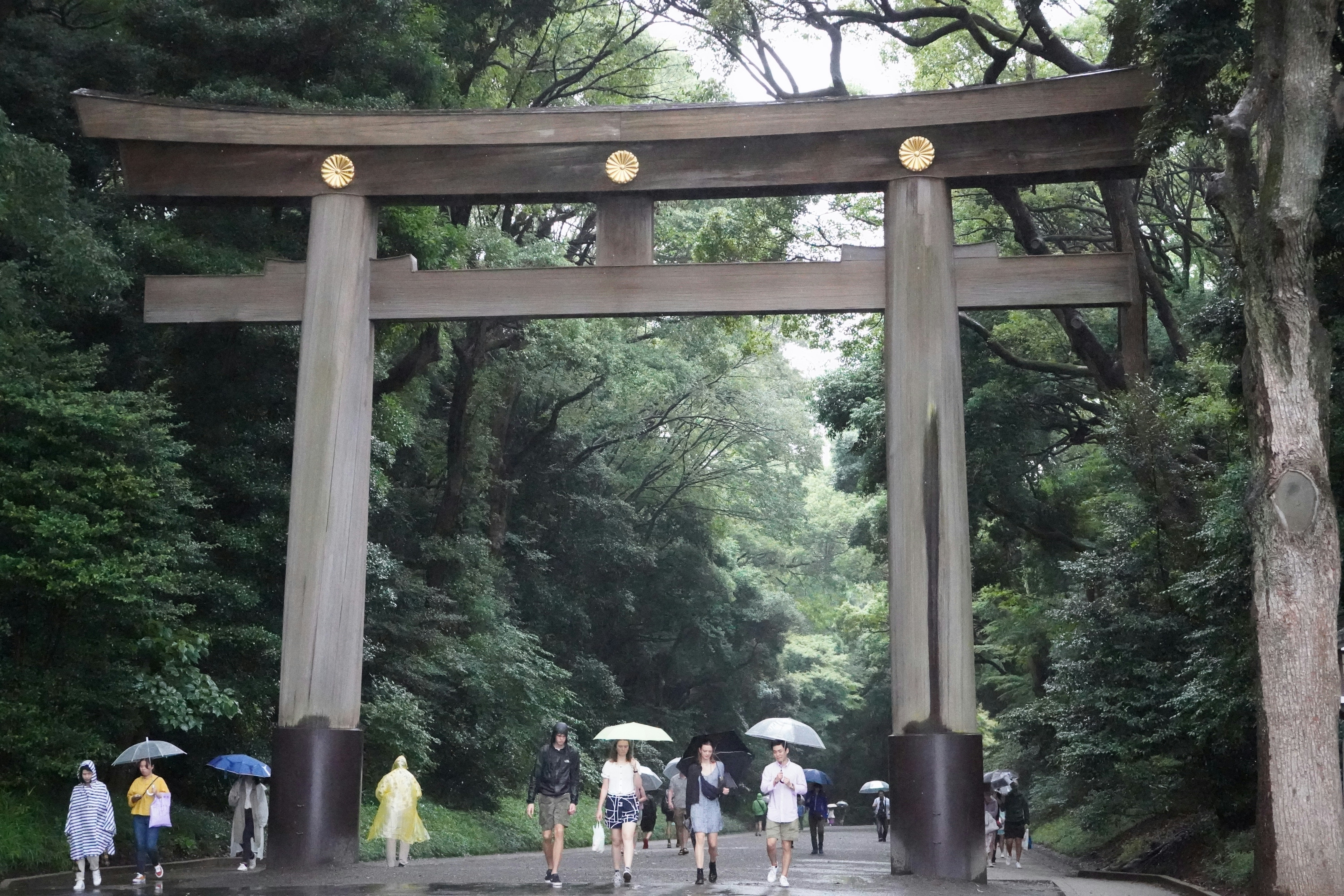 People walking under an arch photo – Free Meiji jingu shrine Image on ...
