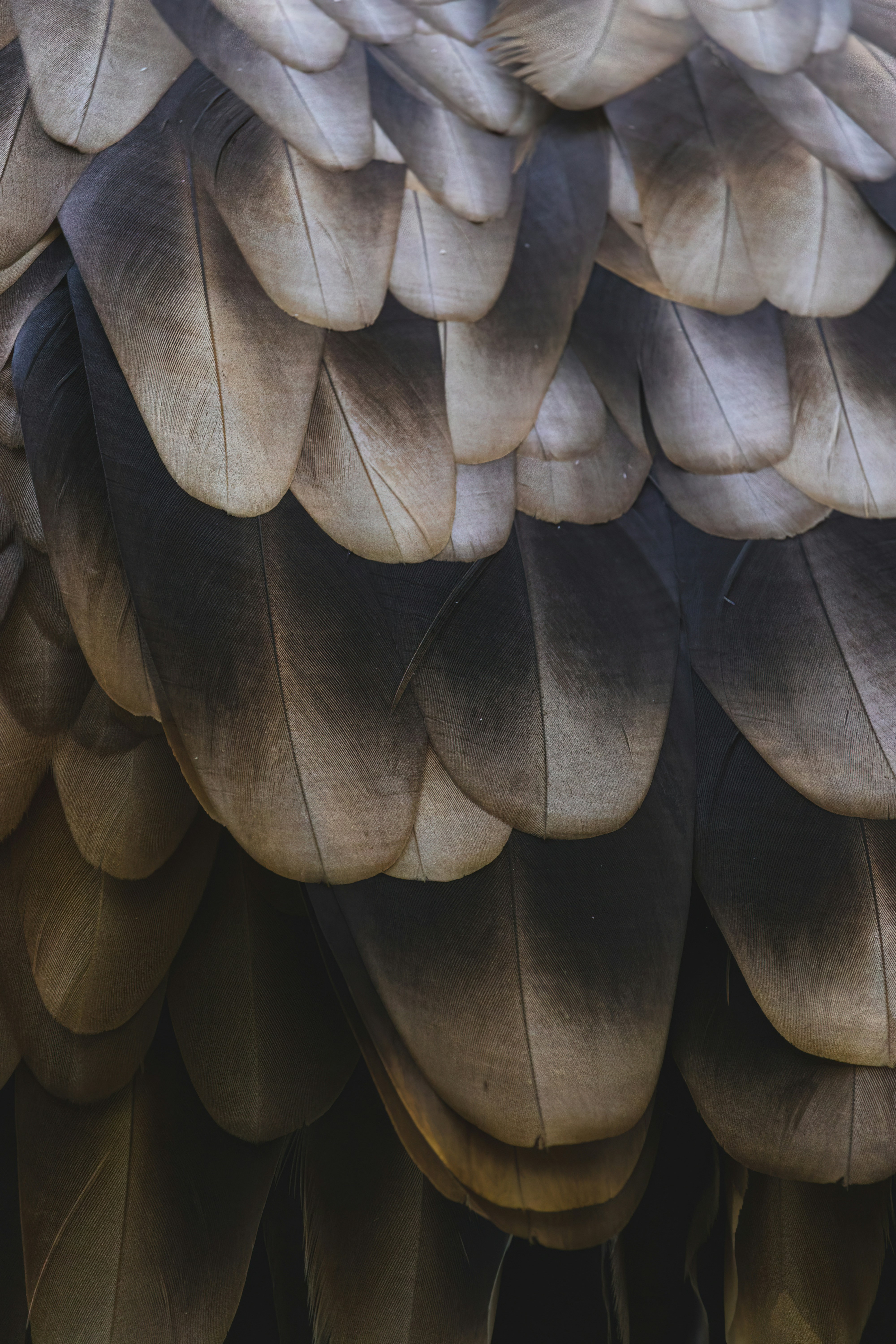 Photo by Jevgeni Fil with Canon EOS 850D