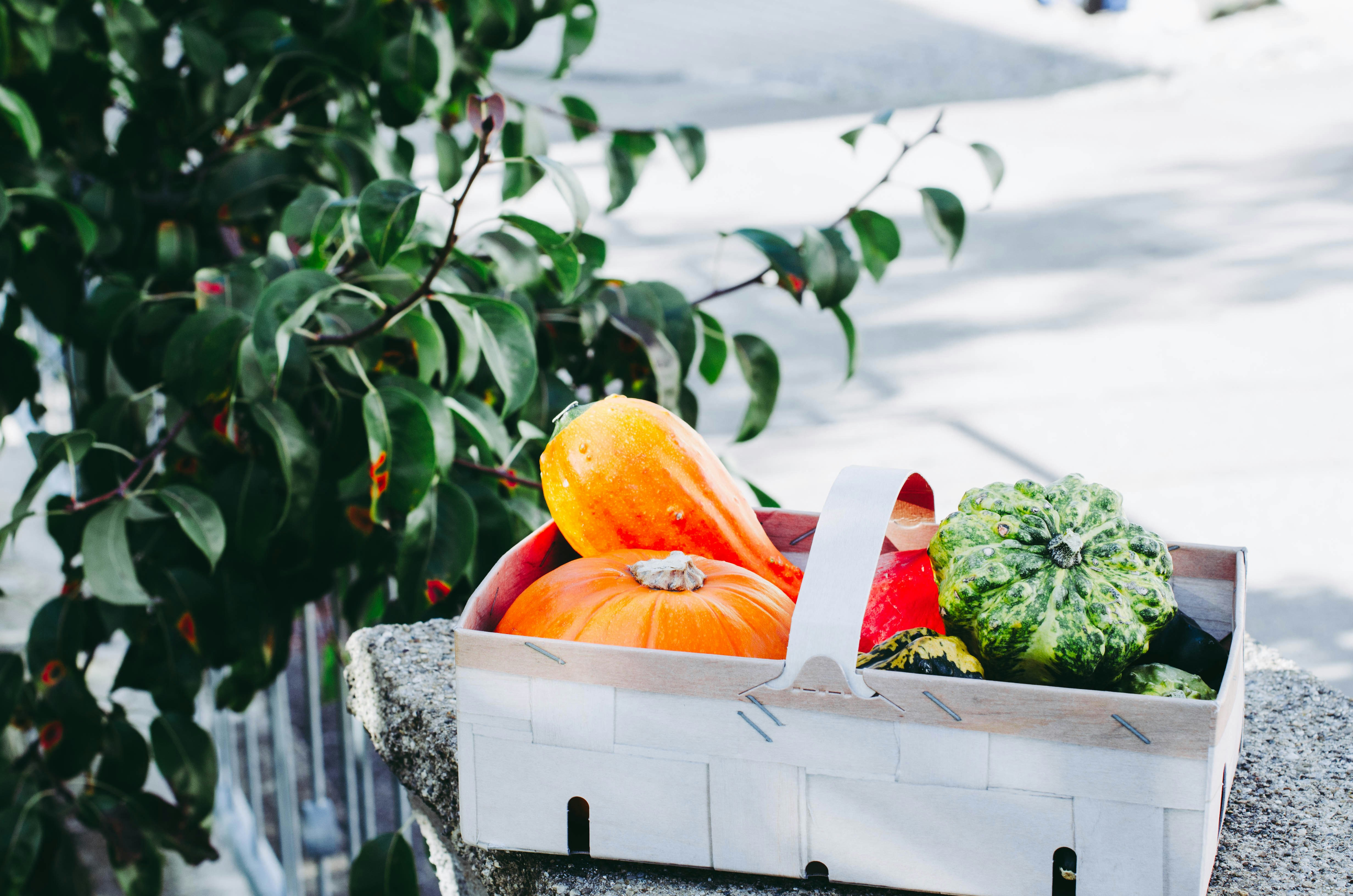 Une boîte de légumes photo – Image gratuite de Octobre sur Unsplash
