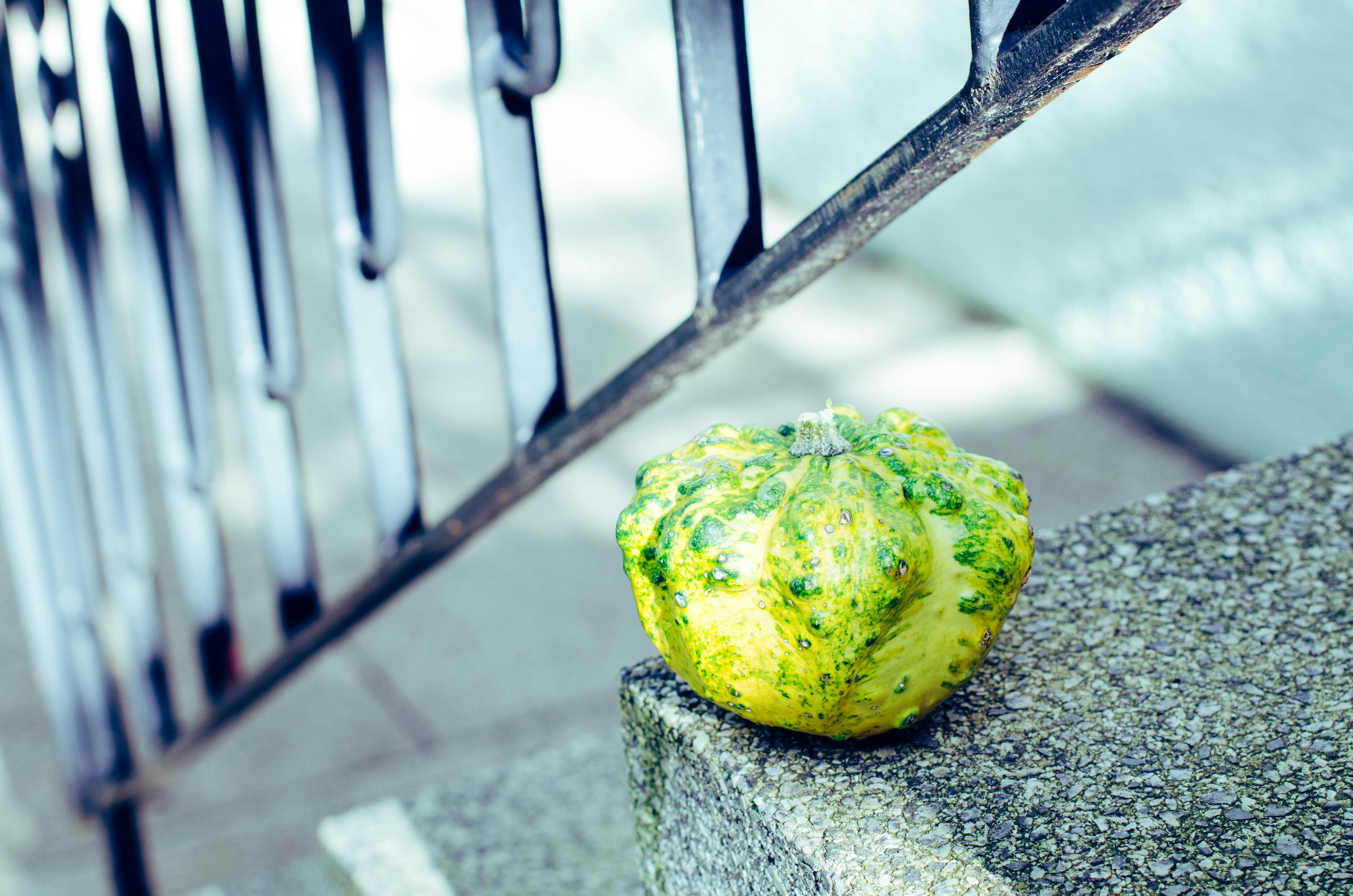 Moss-Touched Citrus on a Rain-Worn Stair