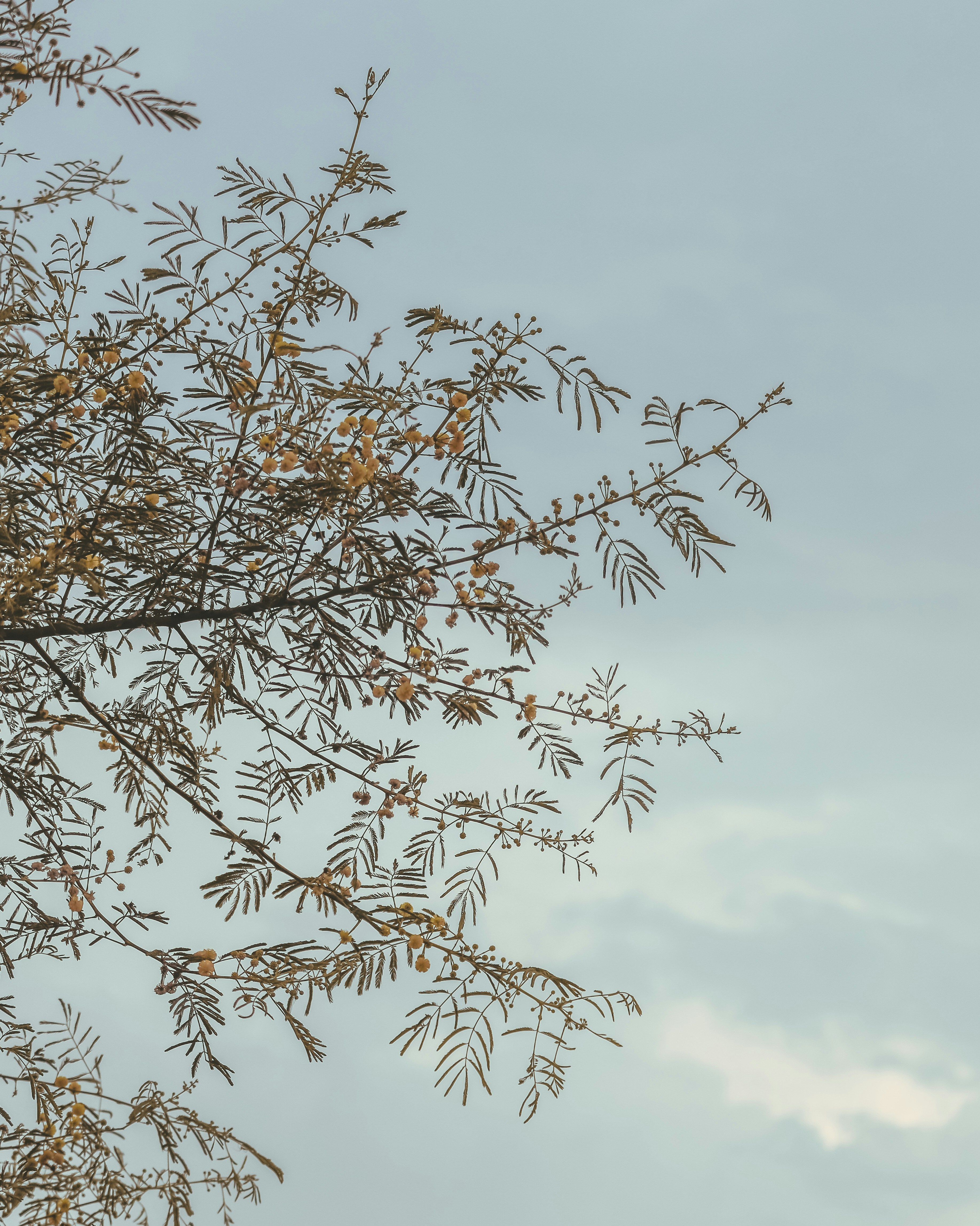 Photo by Brajendra Singh with Canon EOS 200D Mark II