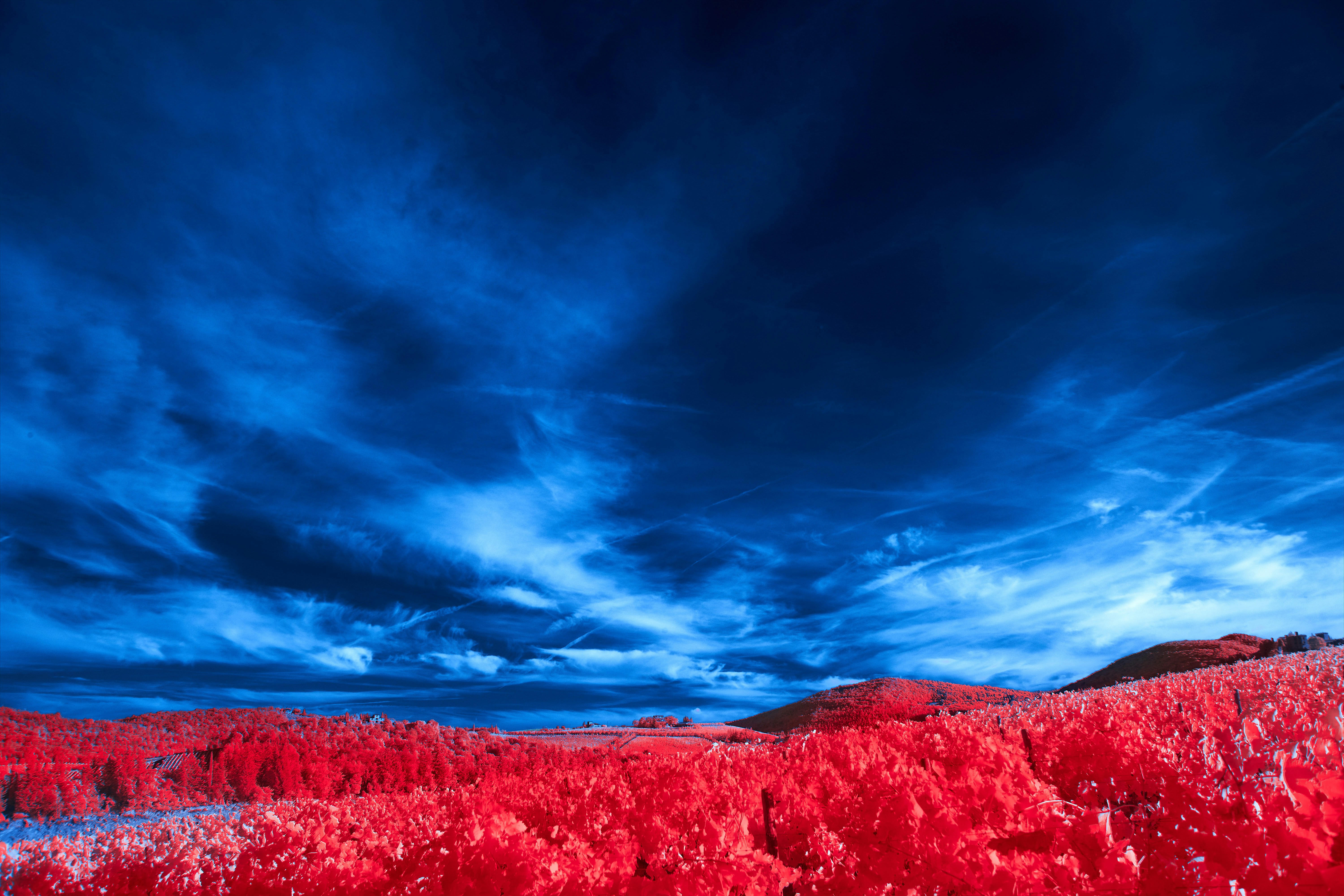A red rock cliff under a blue sky photo – Free Nature Image on Unsplash