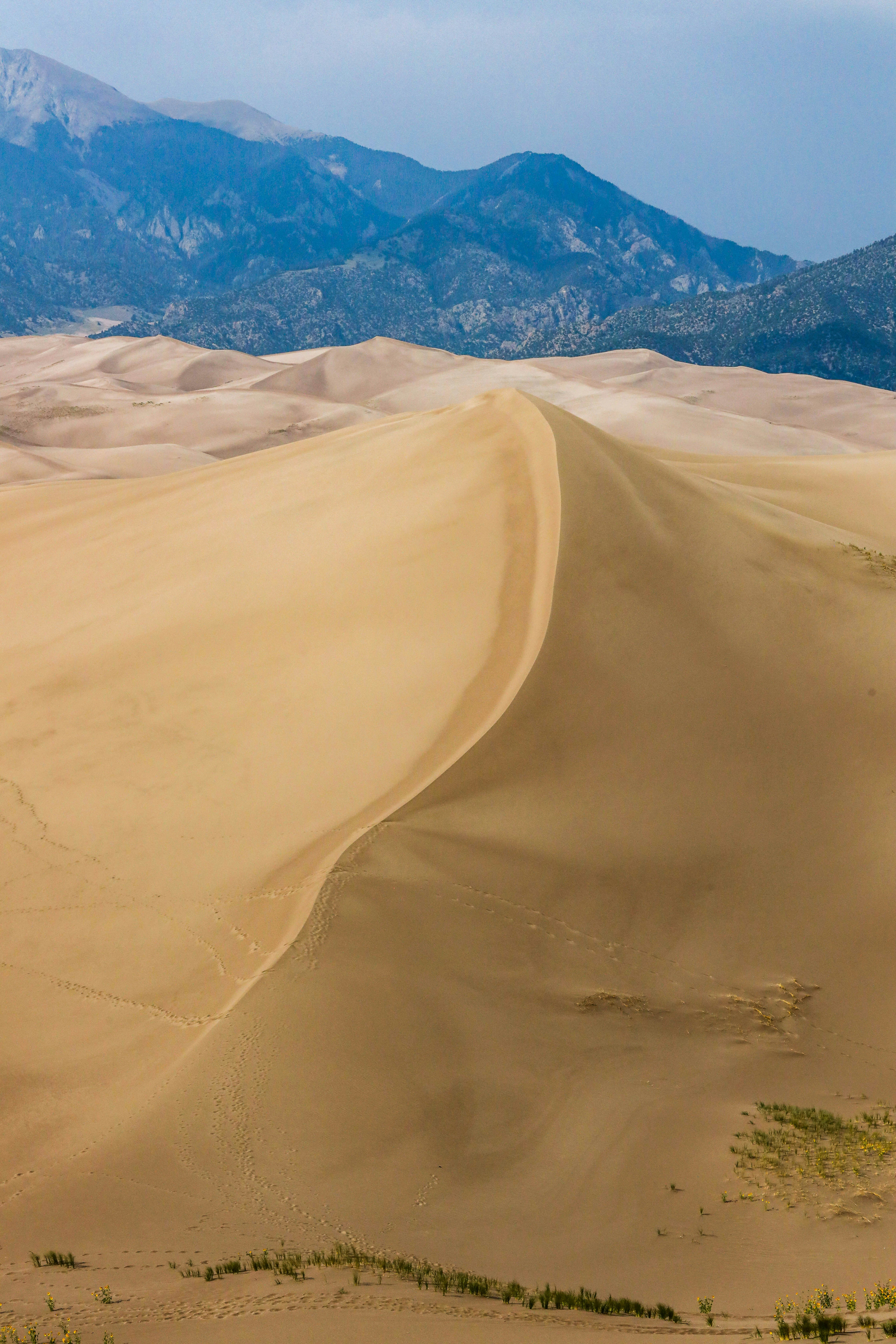 Chemin Des Dunes De Sable Photos | Télécharger des images gratuites sur ...