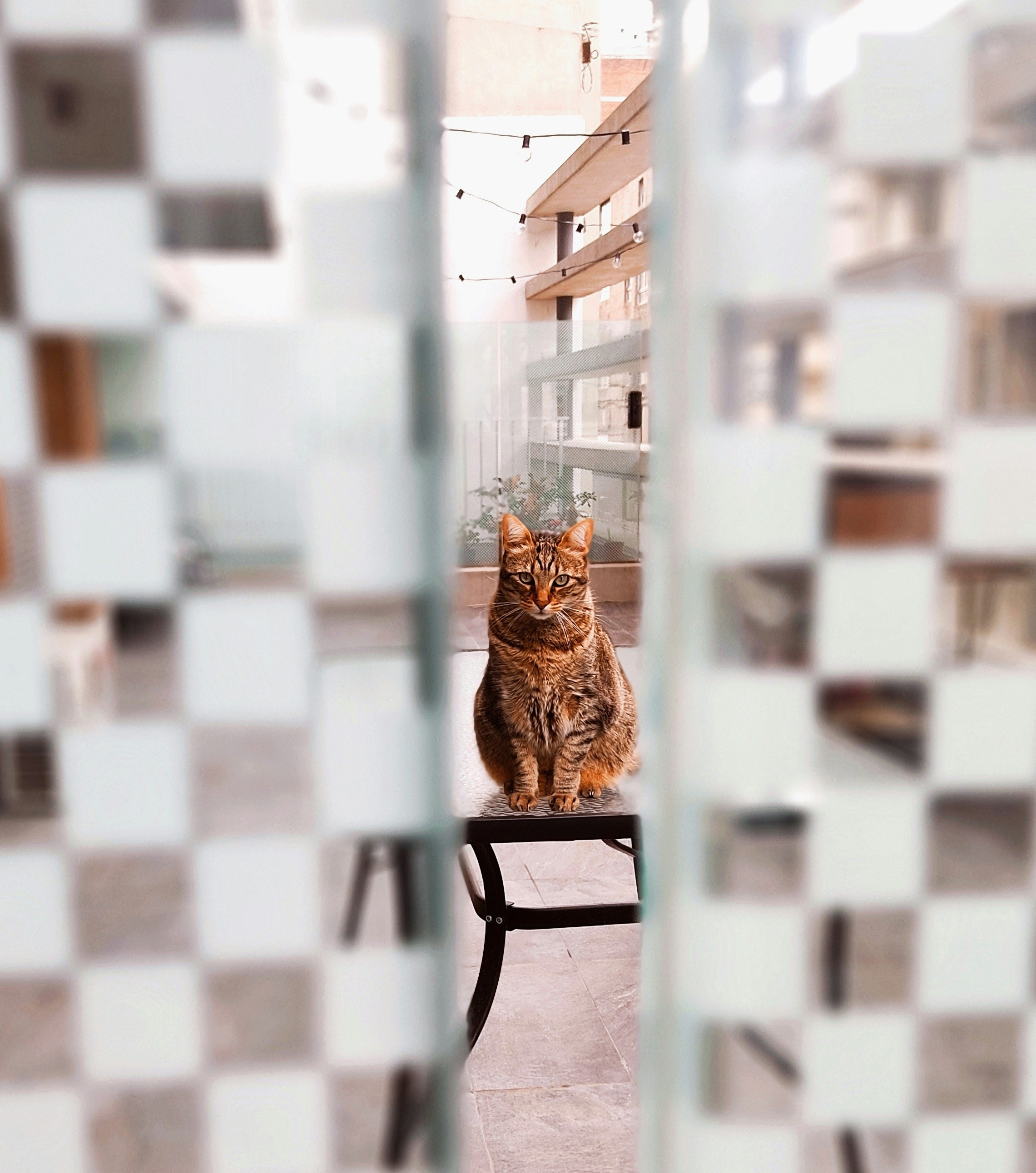 Natalia Rudomin (@rudymental) | Unsplash 사진 커뮤니티