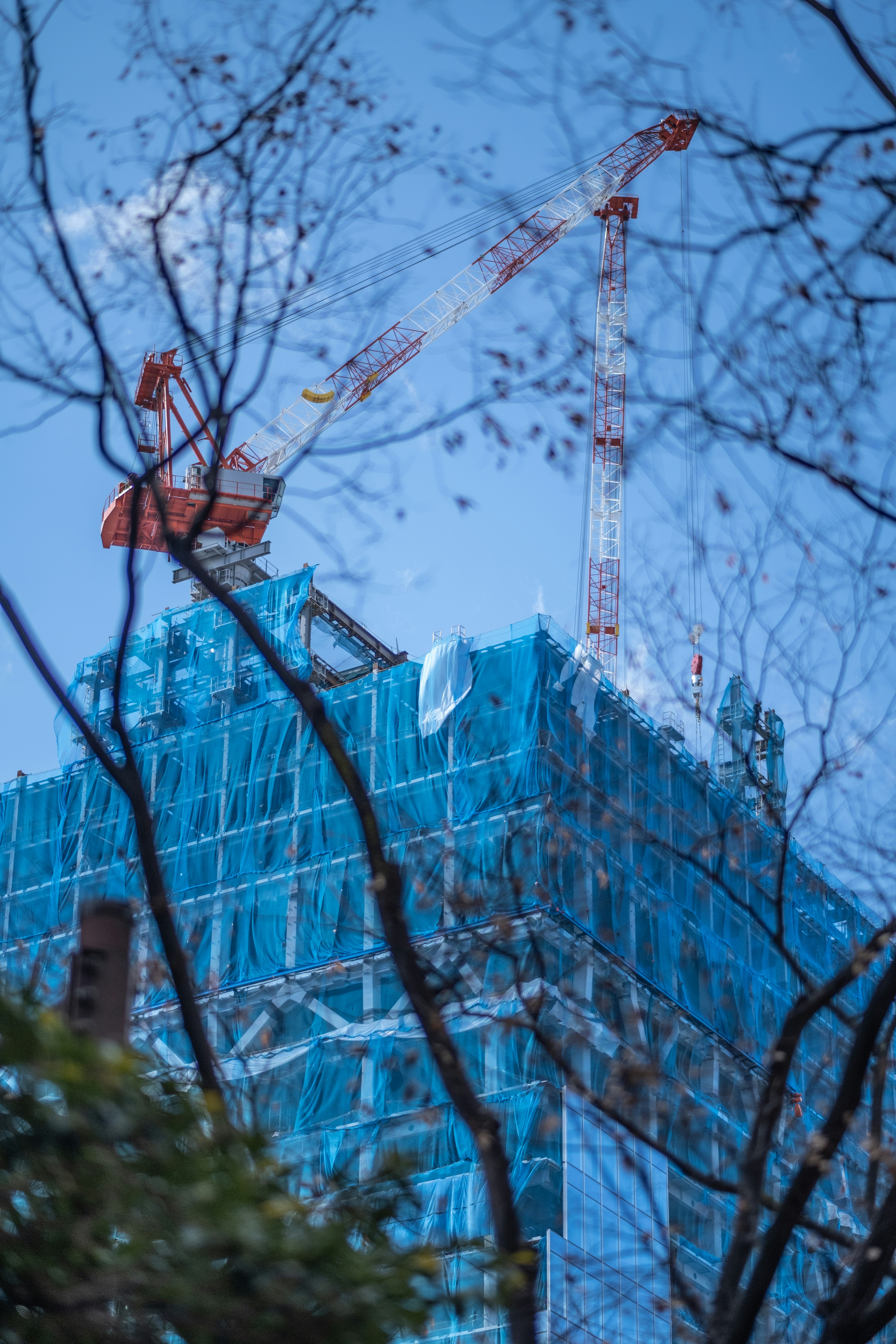 Crane Symphony Over Blue Sheeted Skyscraper