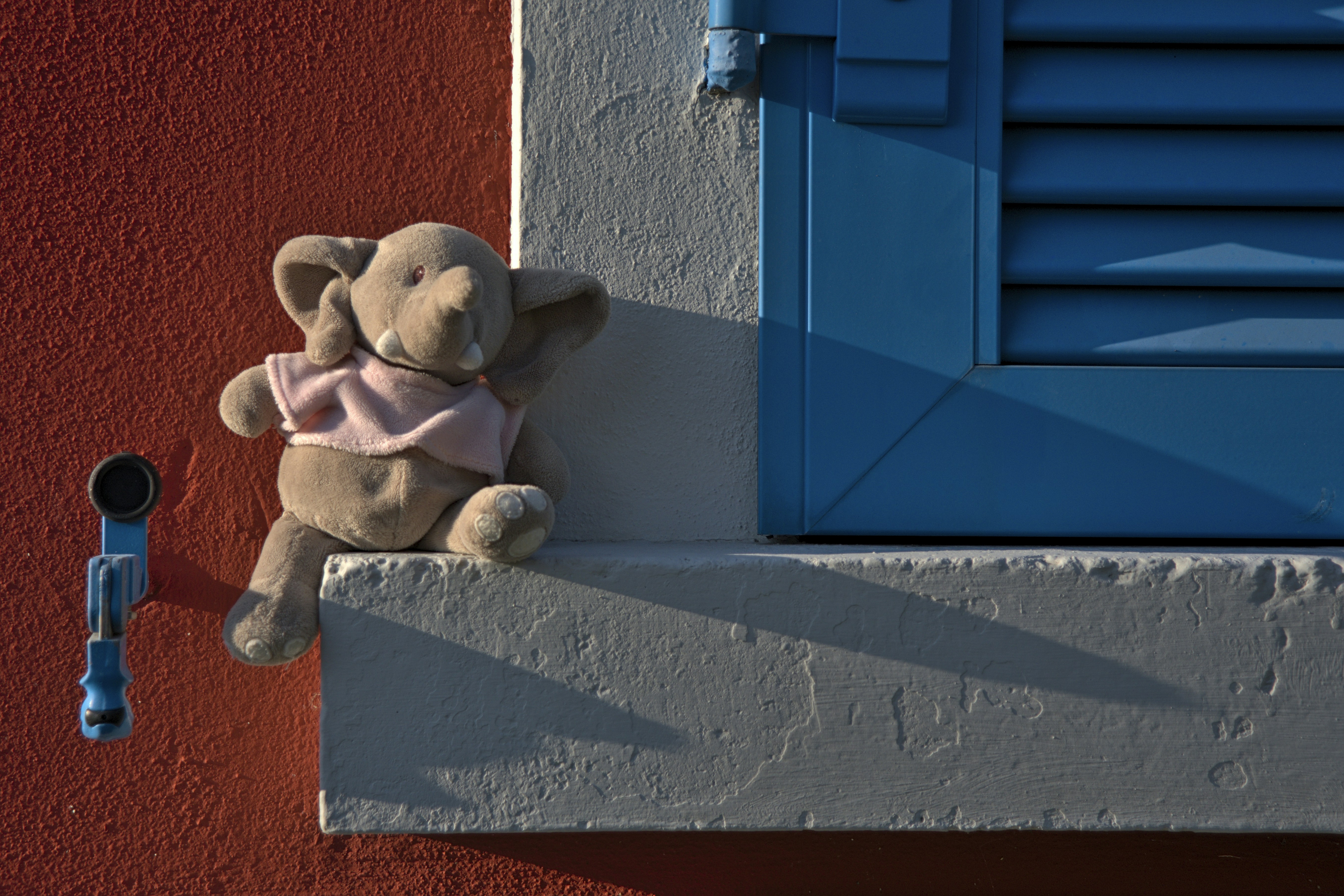 Plush on a Color-Tilted Ledge: Quiet Moment Between Red Wall and Blue Shutter