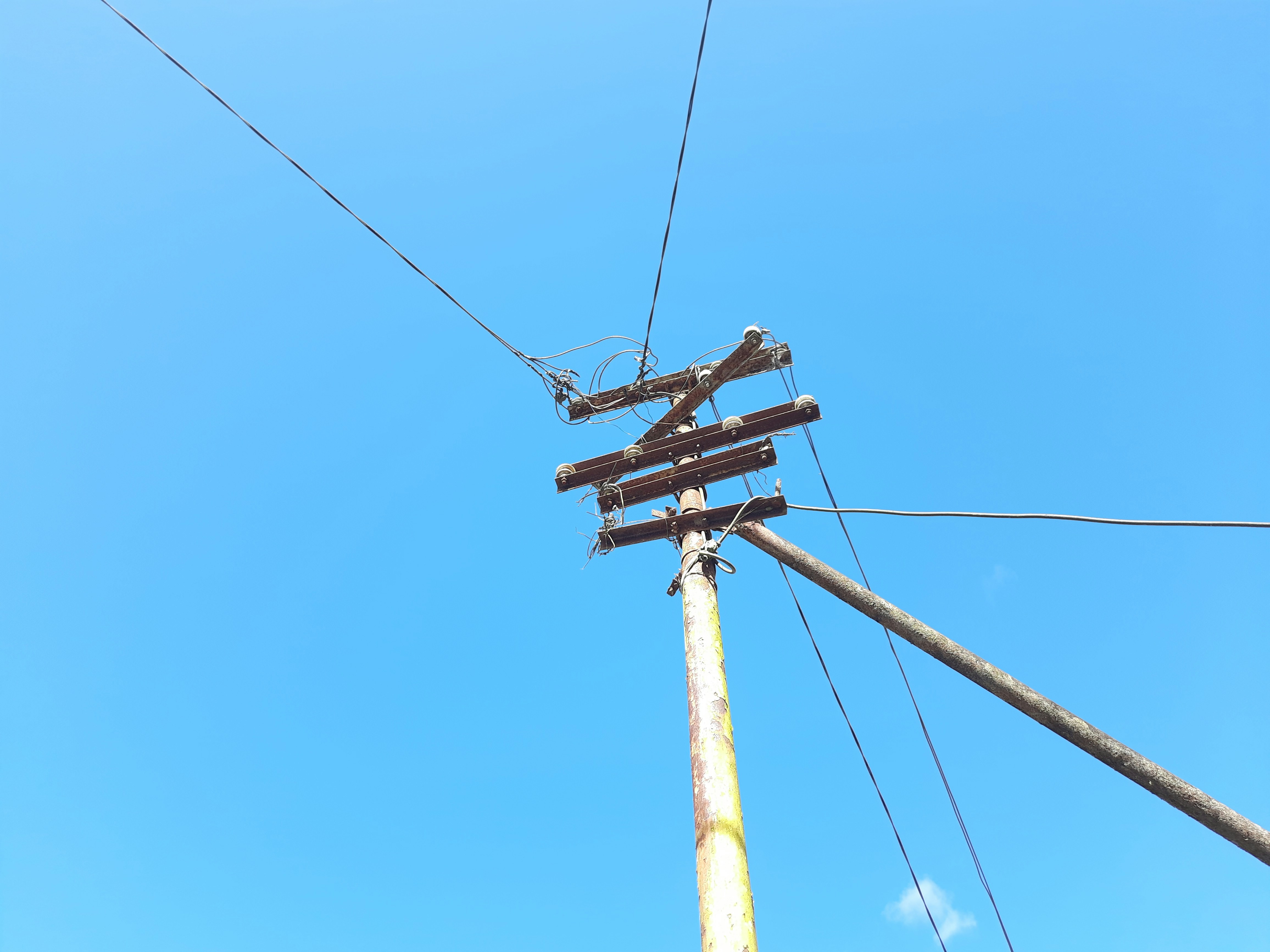 Utility pole with multiple lines against a clear blue sky, showcasing the intersection of nature and technology.
