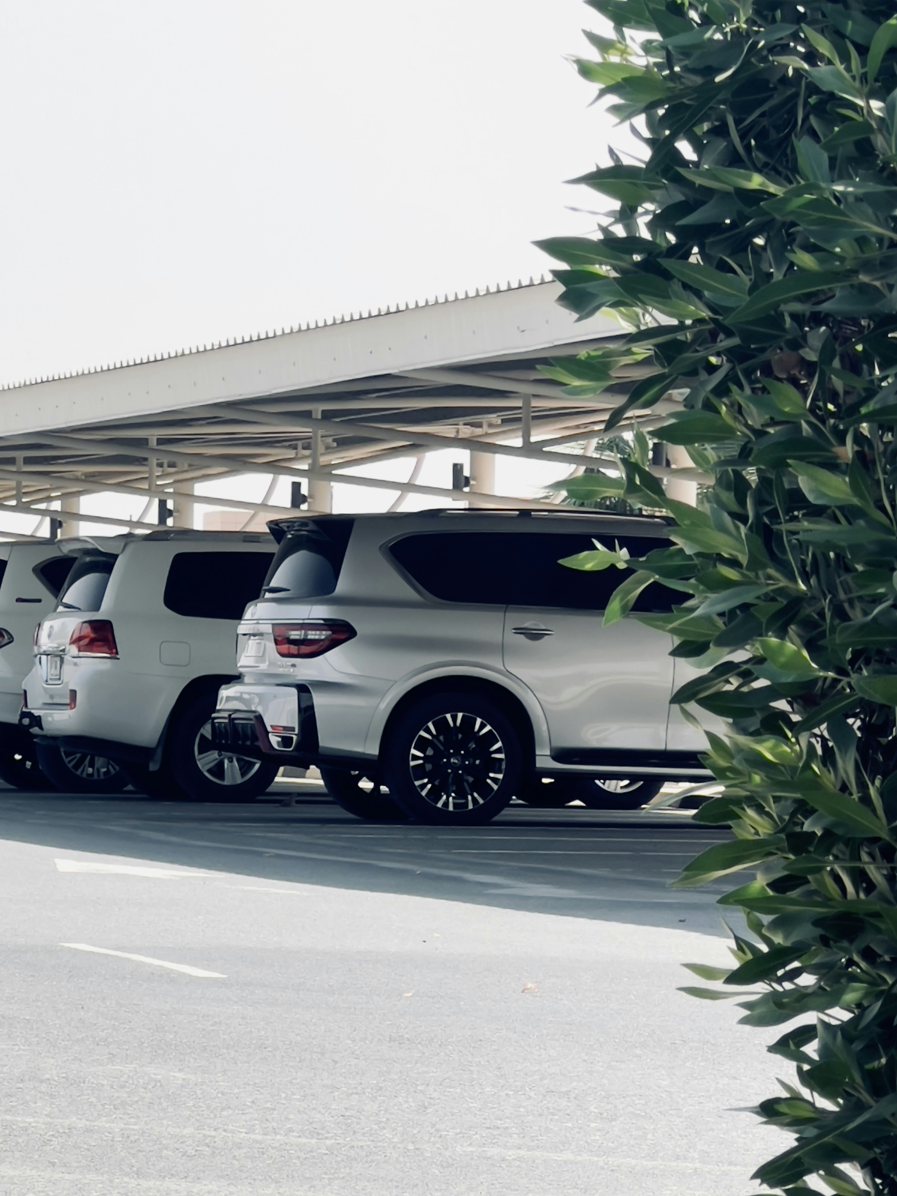 A group of cars parked under a bridge photo – Free Automobile Image on ...