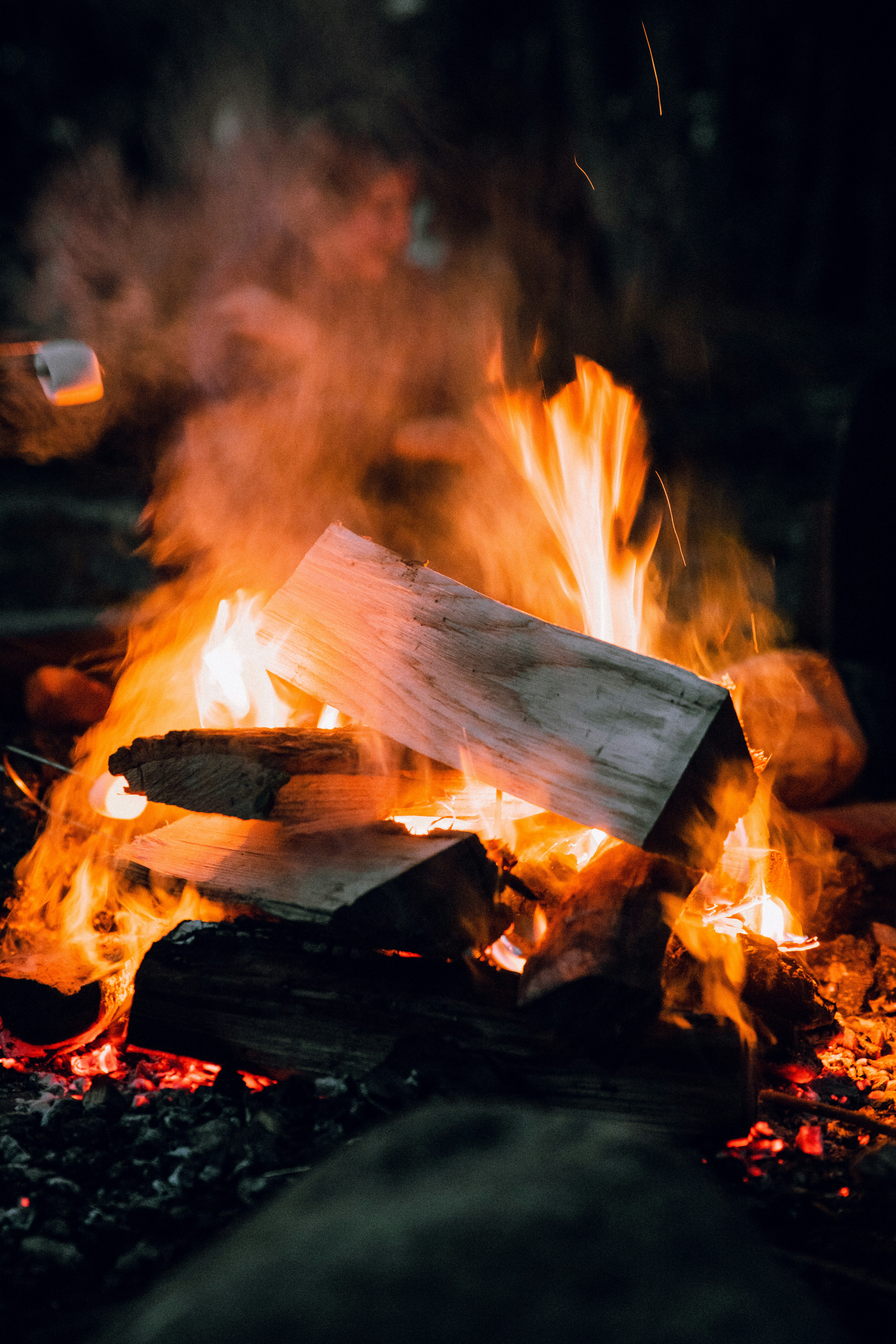 Amber Cathedral of Wood: Night Campfire Portrait