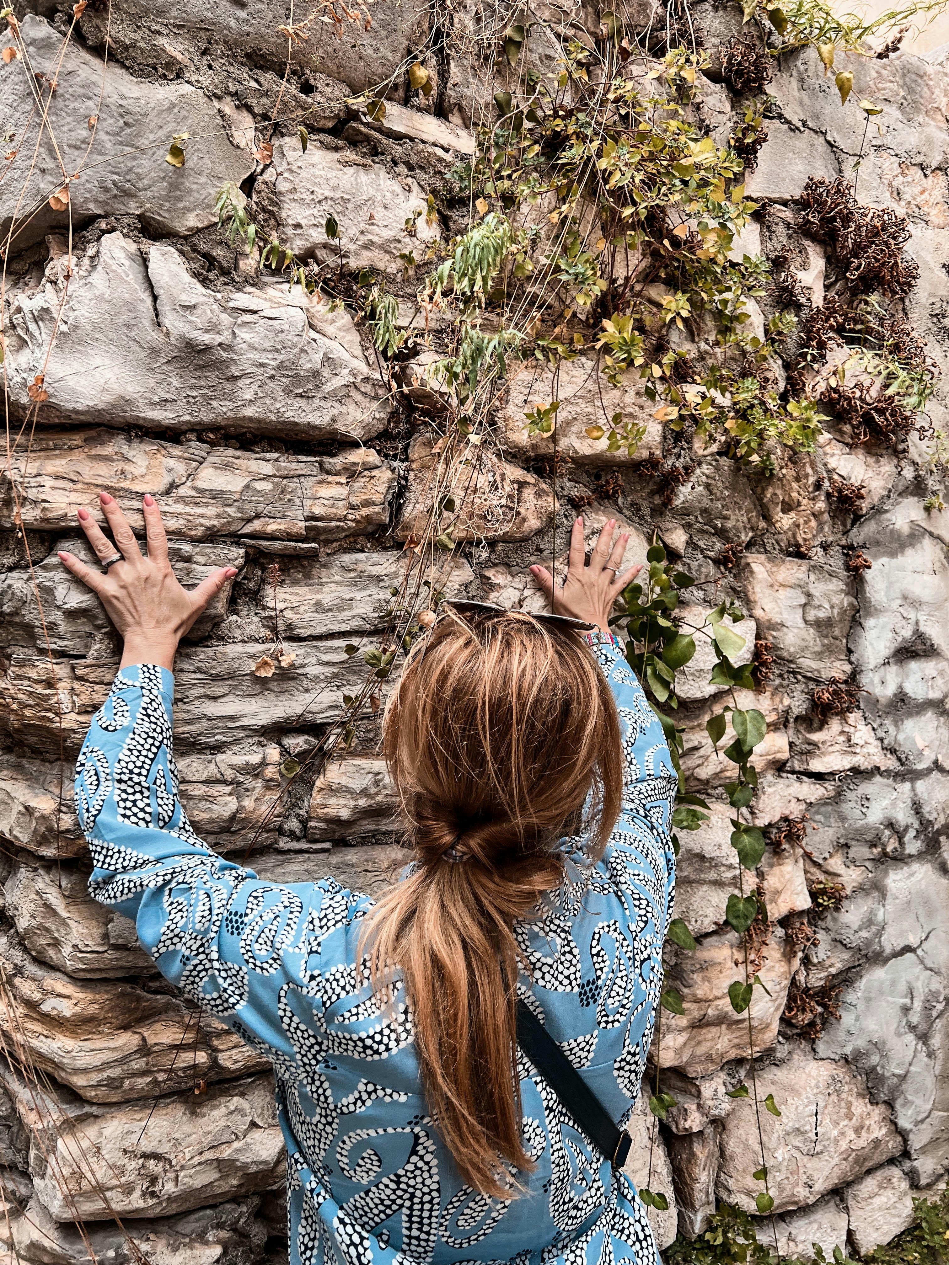 Blue Patterned Reach Against a Timeworn Ivy-Clad Wall