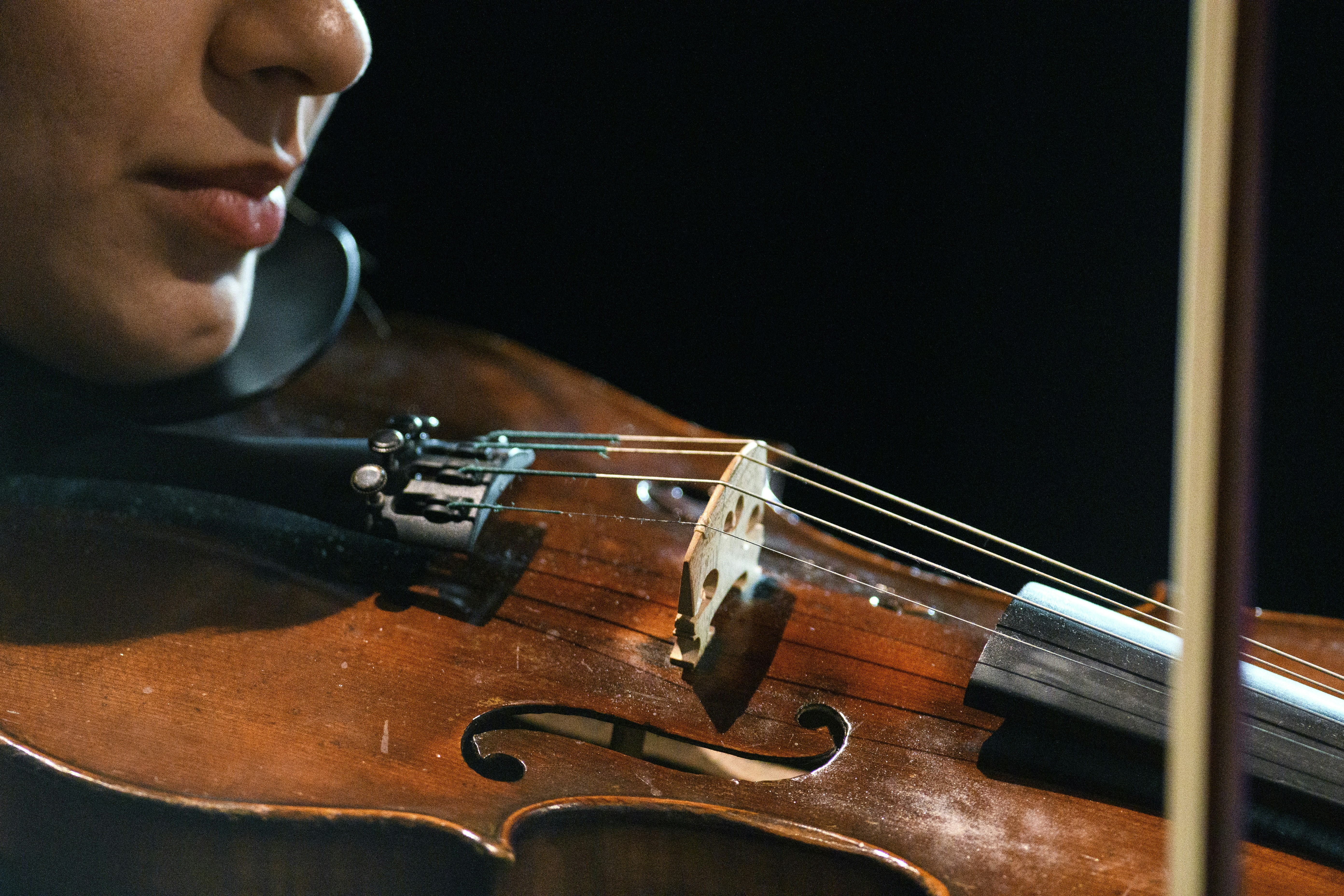 Fiddle Pictures | Download Free Images on Unsplash