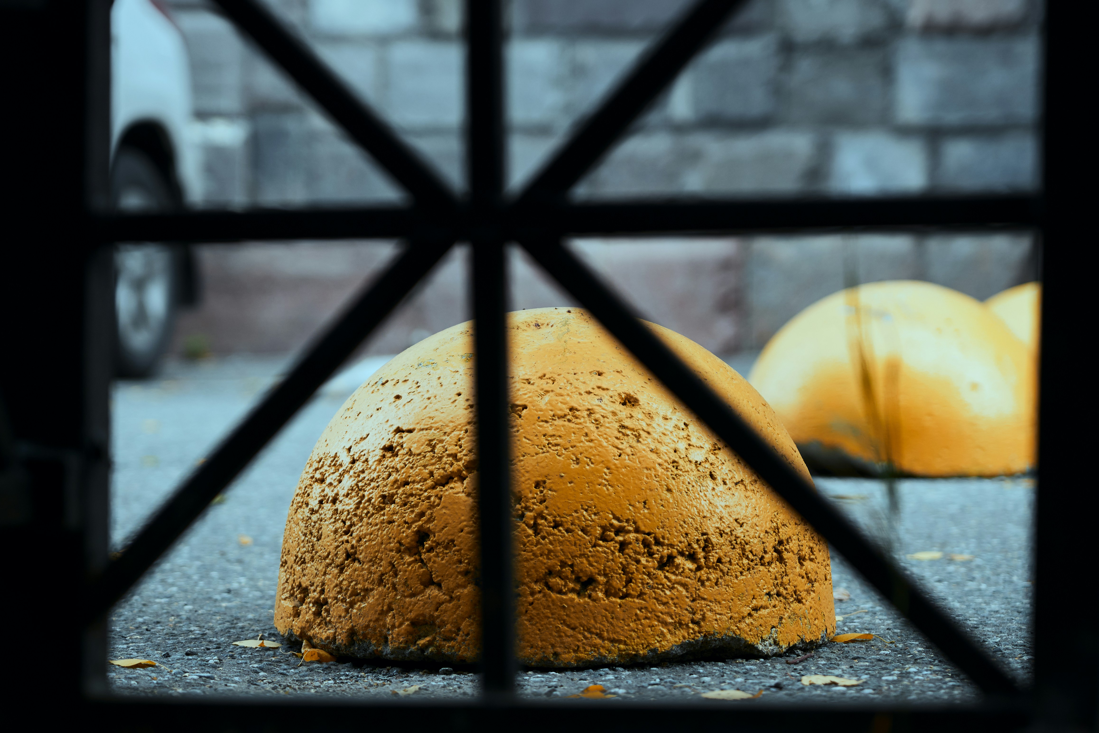 A couple of large round objects on a black surface photo – Free Bread ...