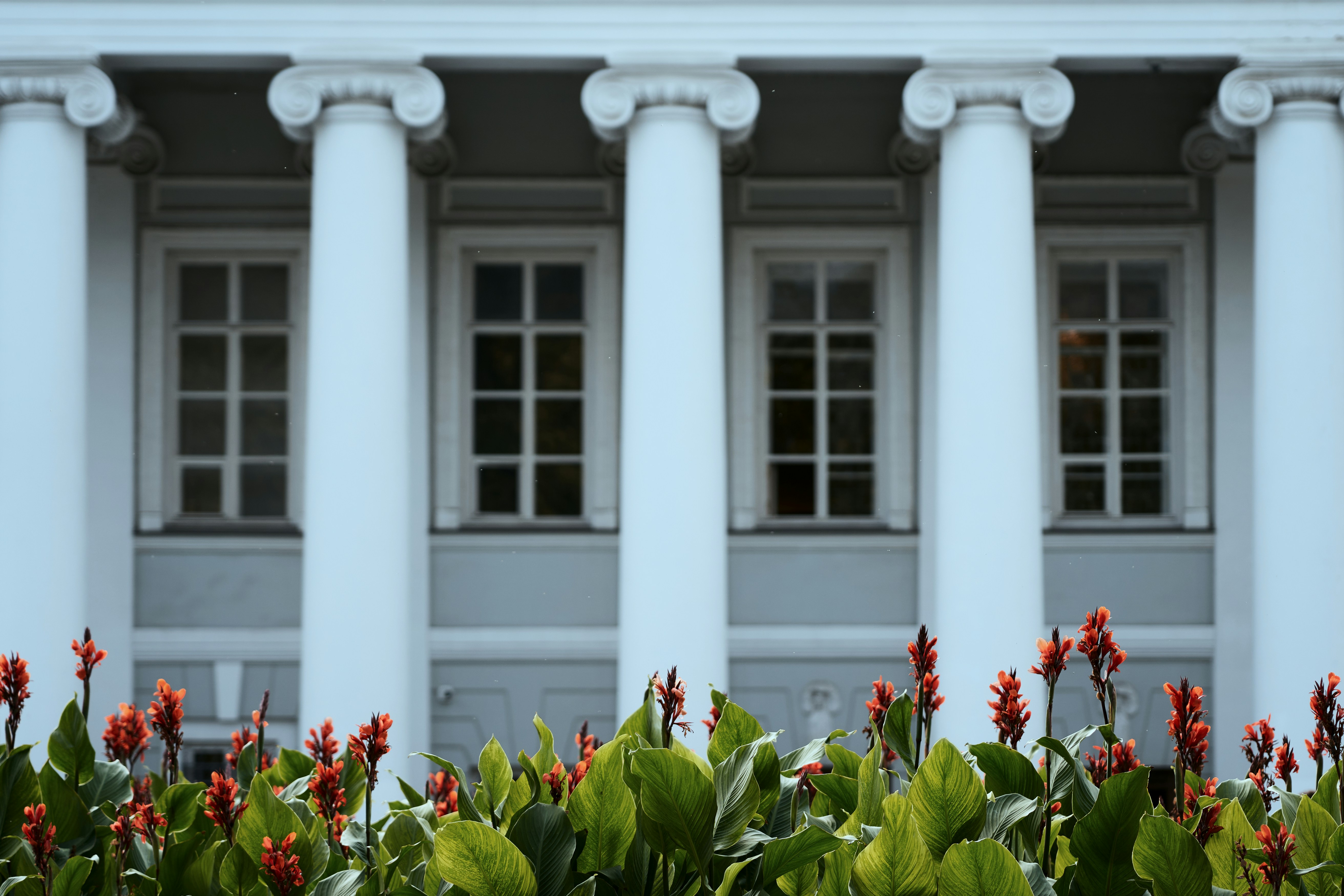 Columns and Crimson Bloom: Classical Facade Framed by Garden Letters