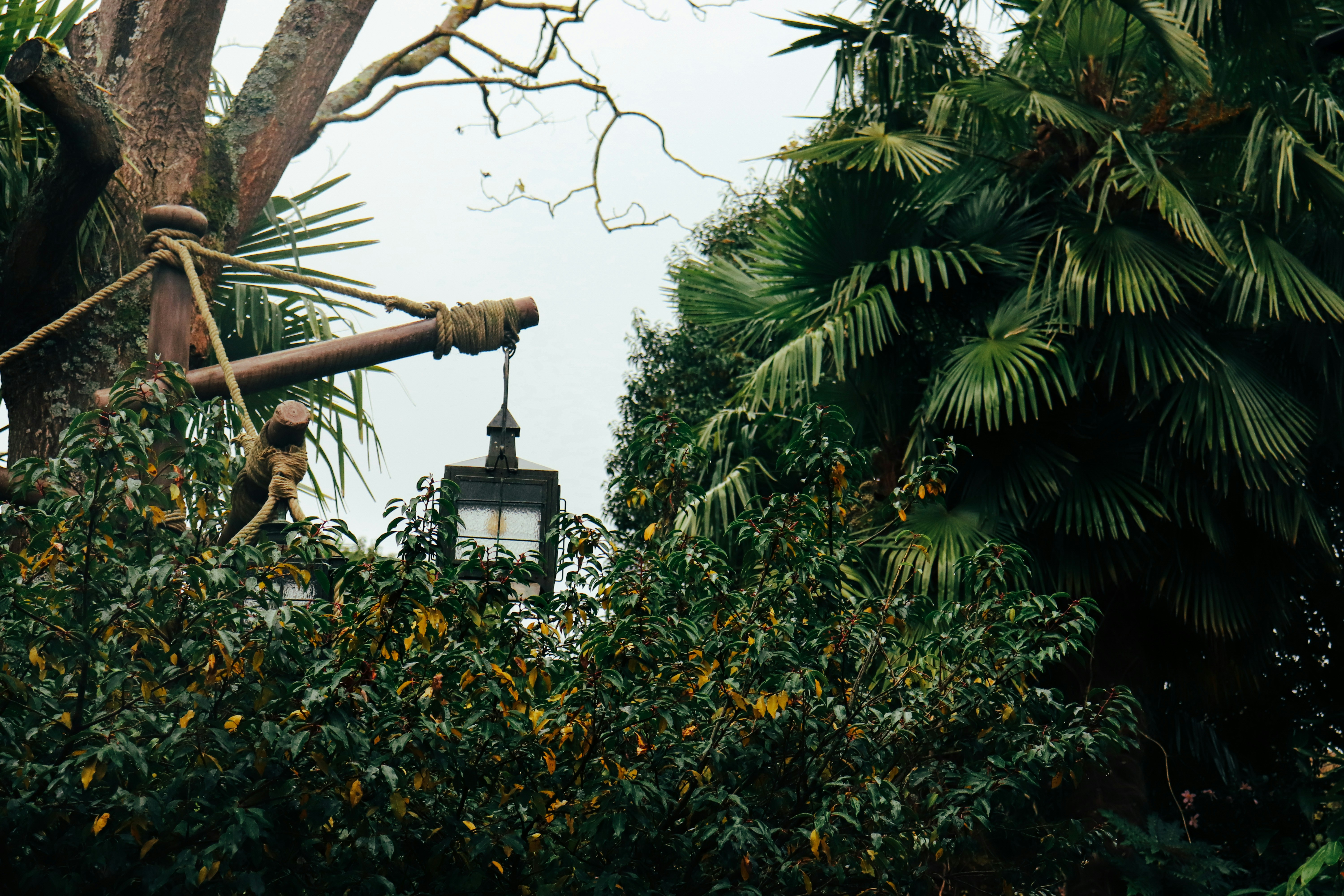 a bird on a bird feeder