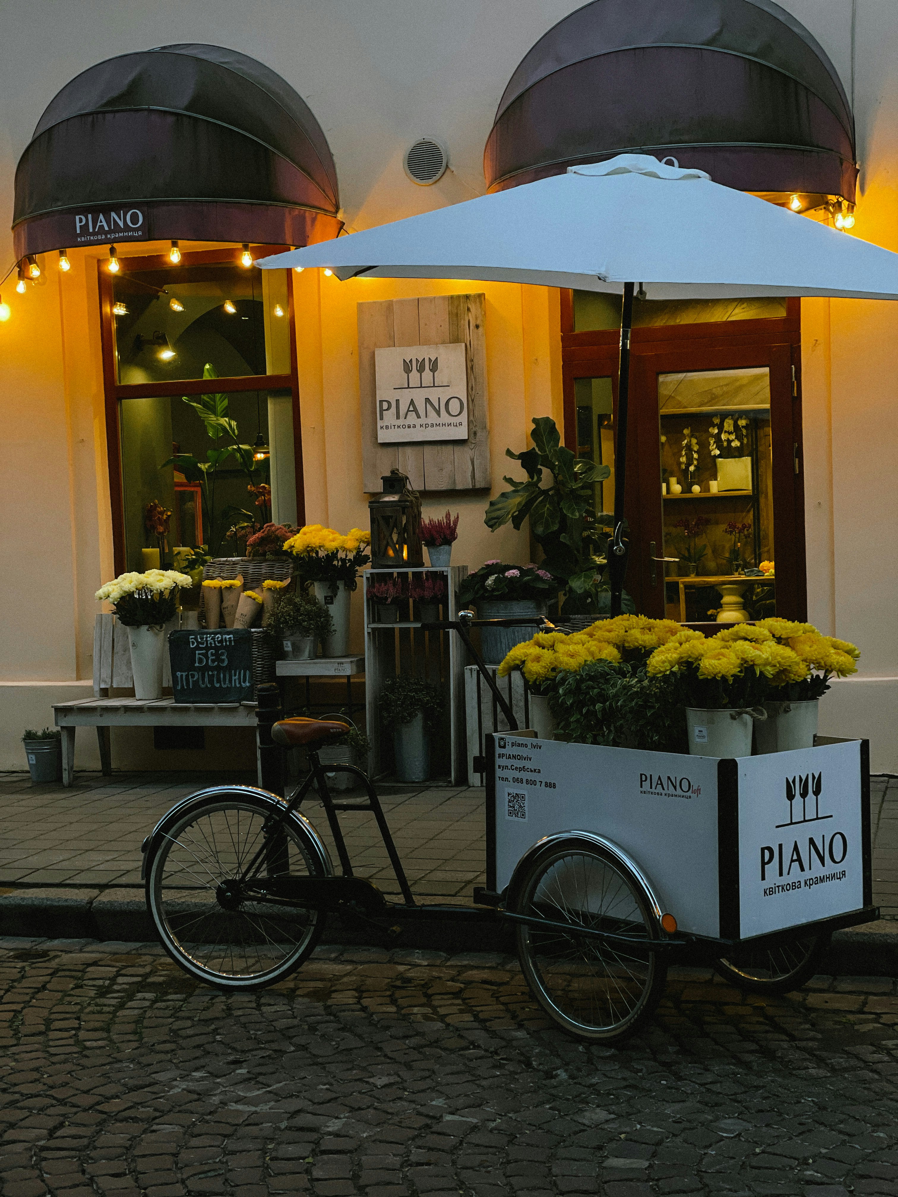 Ann Leo (@anniehanna) | Unsplash 사진 커뮤니티