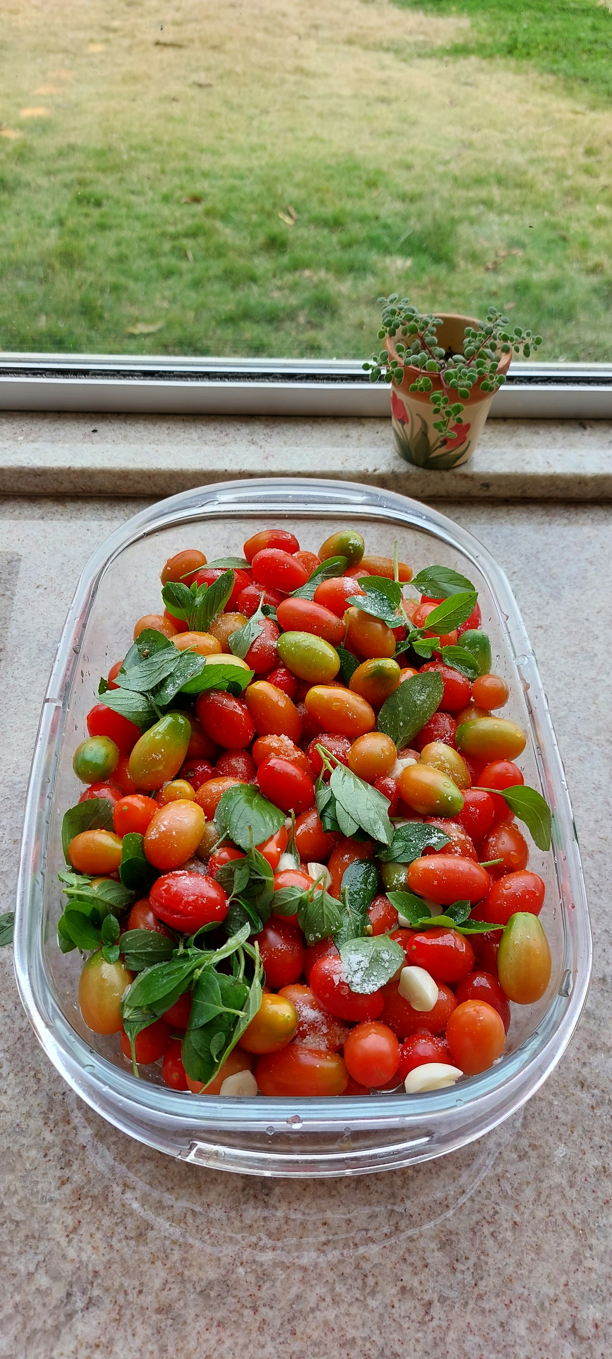 Sunlit Glass Dish of Cherry Tomatoes and Basil by a Windowsill
