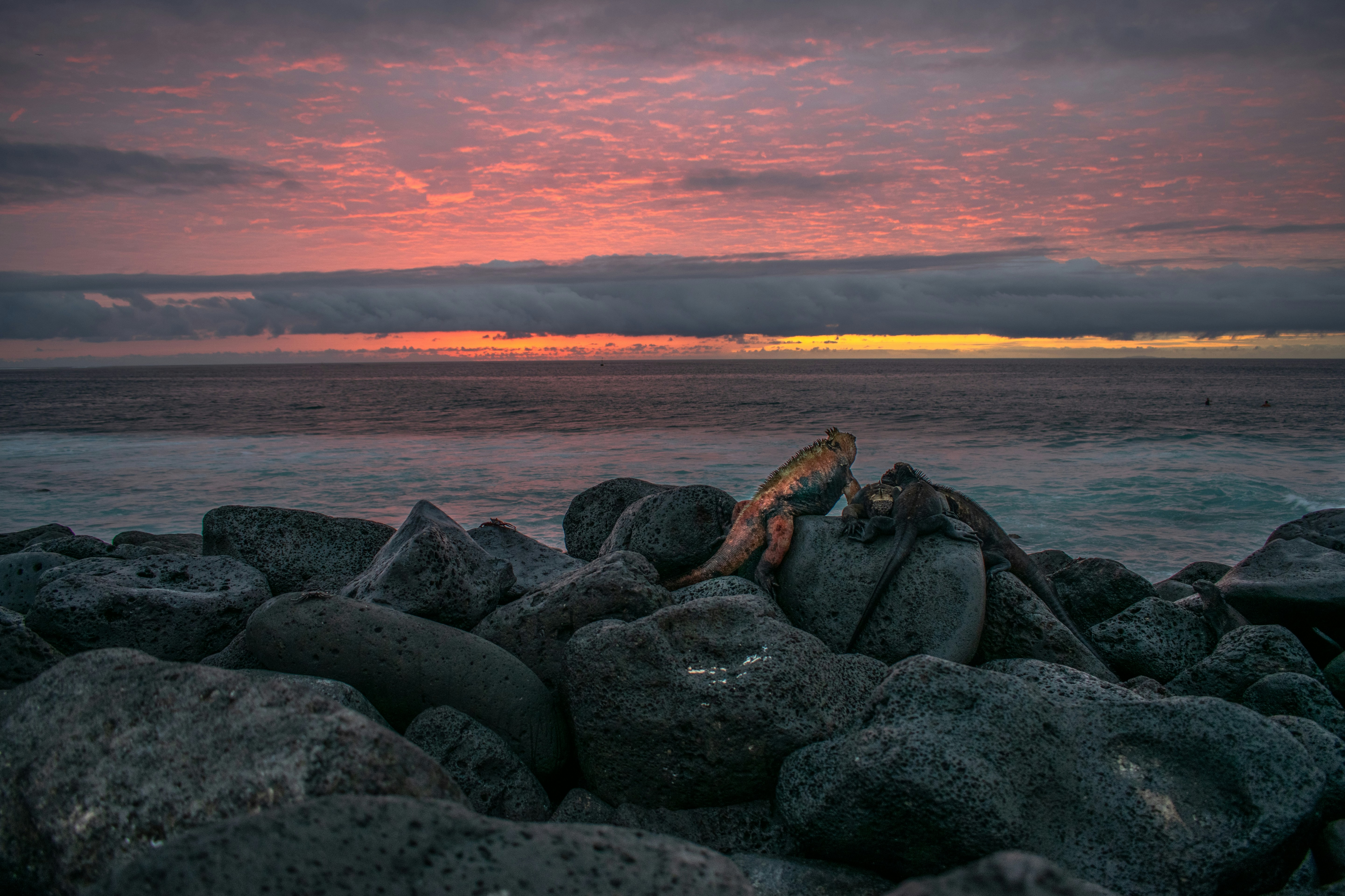 Rugged Shoreline at Sunset: A Patchwork of Wet Rocks and Emergent Light