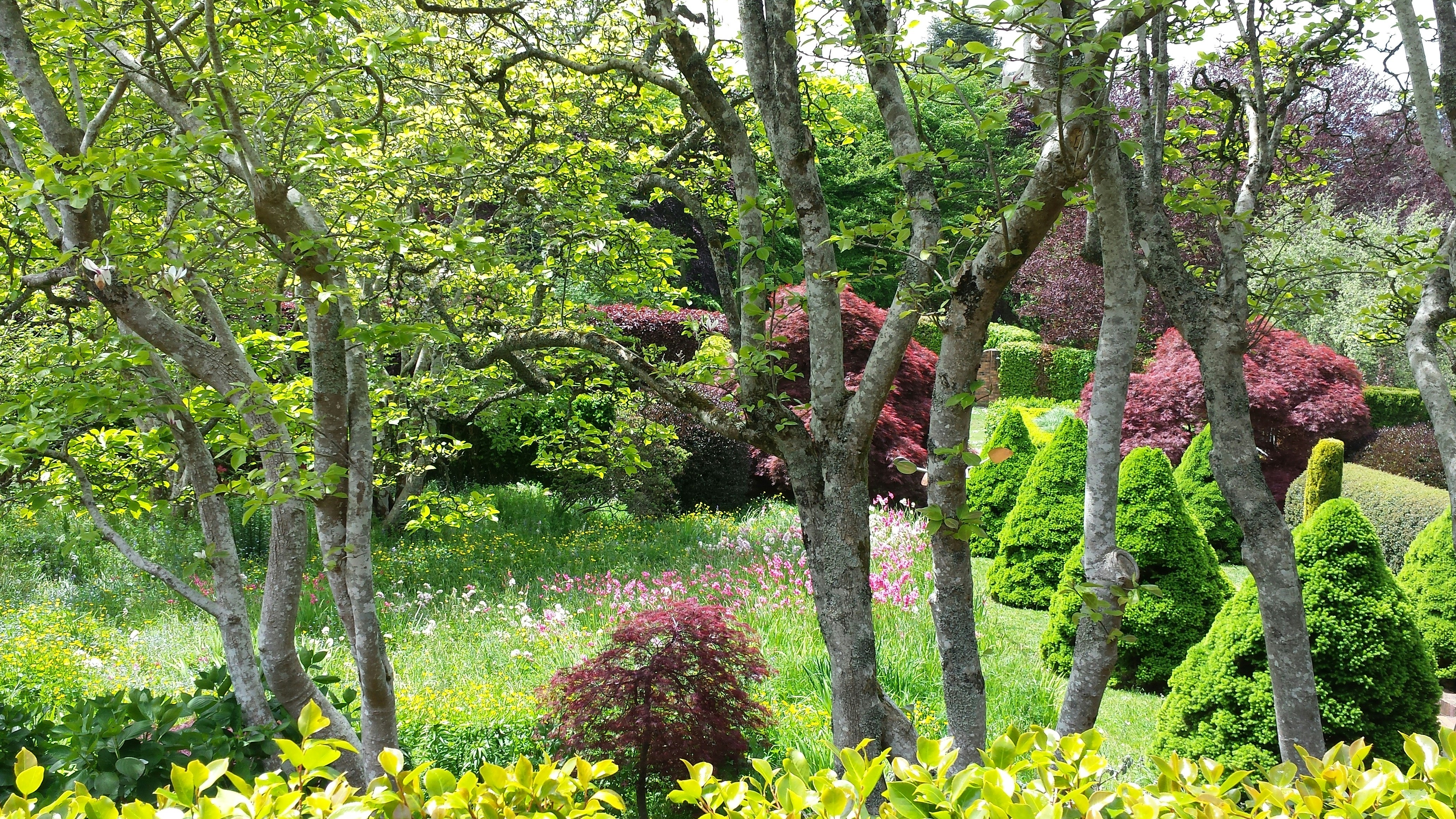 A garden with trees and bushes photo – Free Craig manners Image on Unsplash