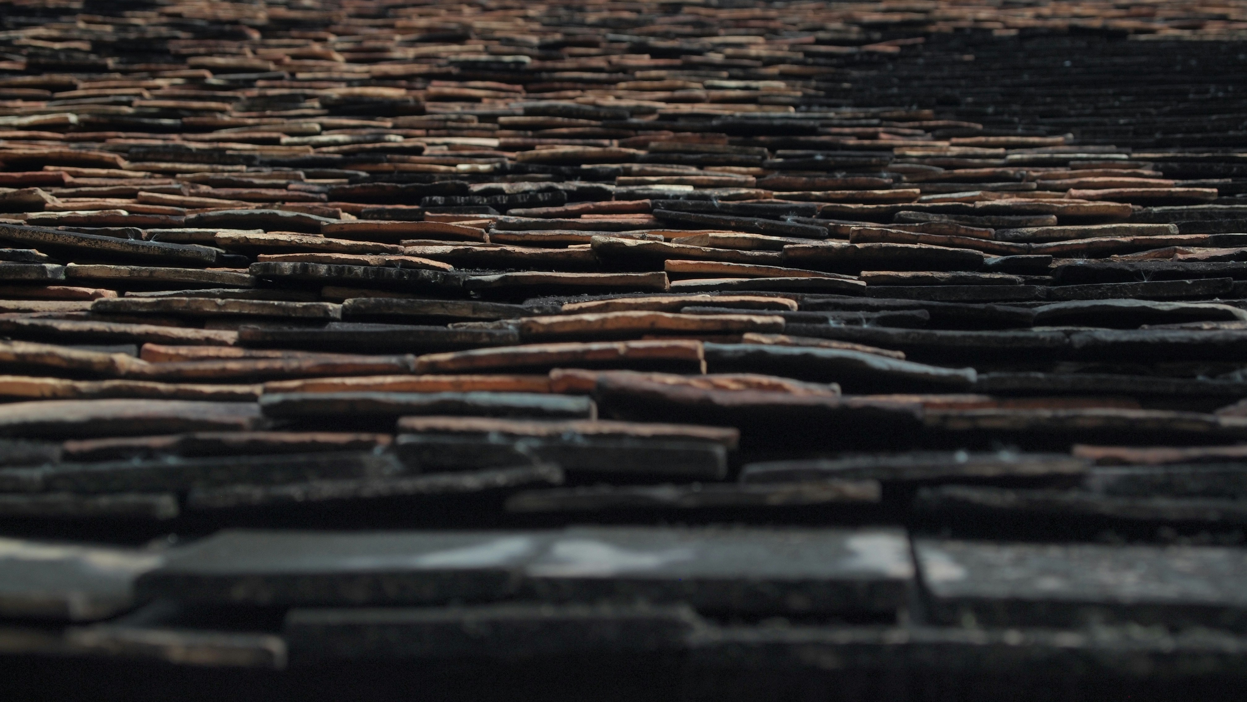 Close-up of layered, weathered roof tiles at dusk, highlighting texture and color variation in a narrow architectural composition.