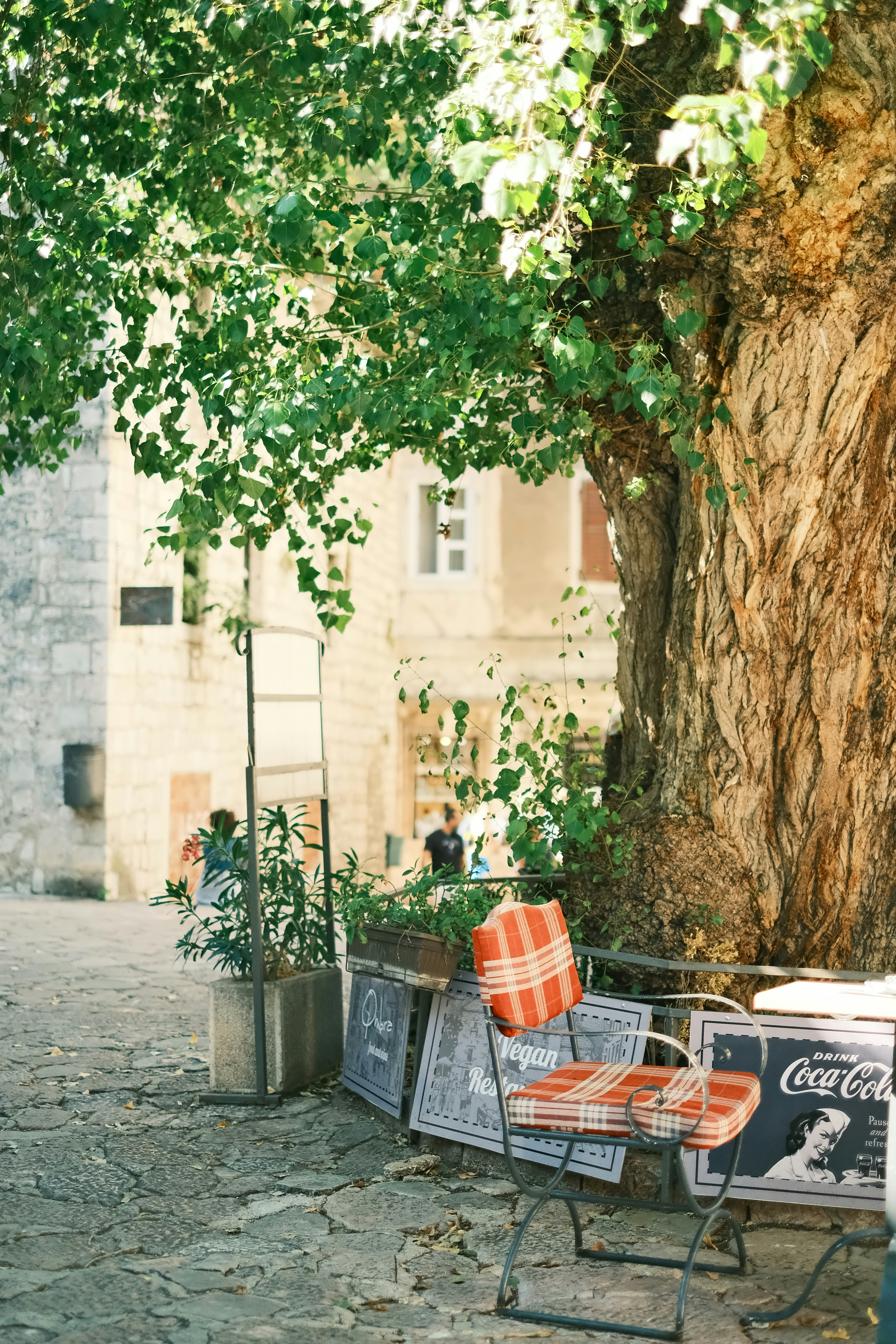 a bench sits unoccupied