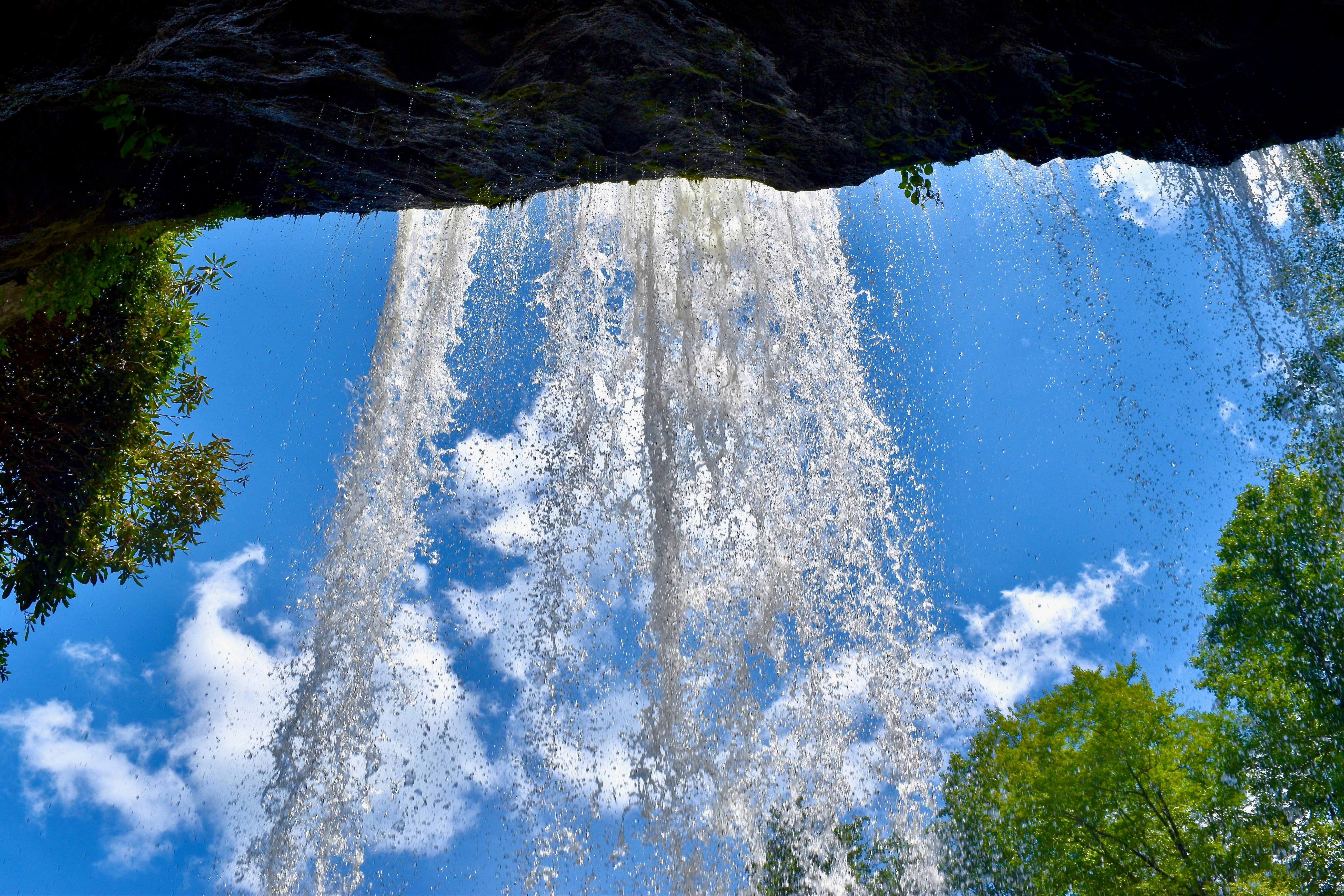 a waterfall with trees around it