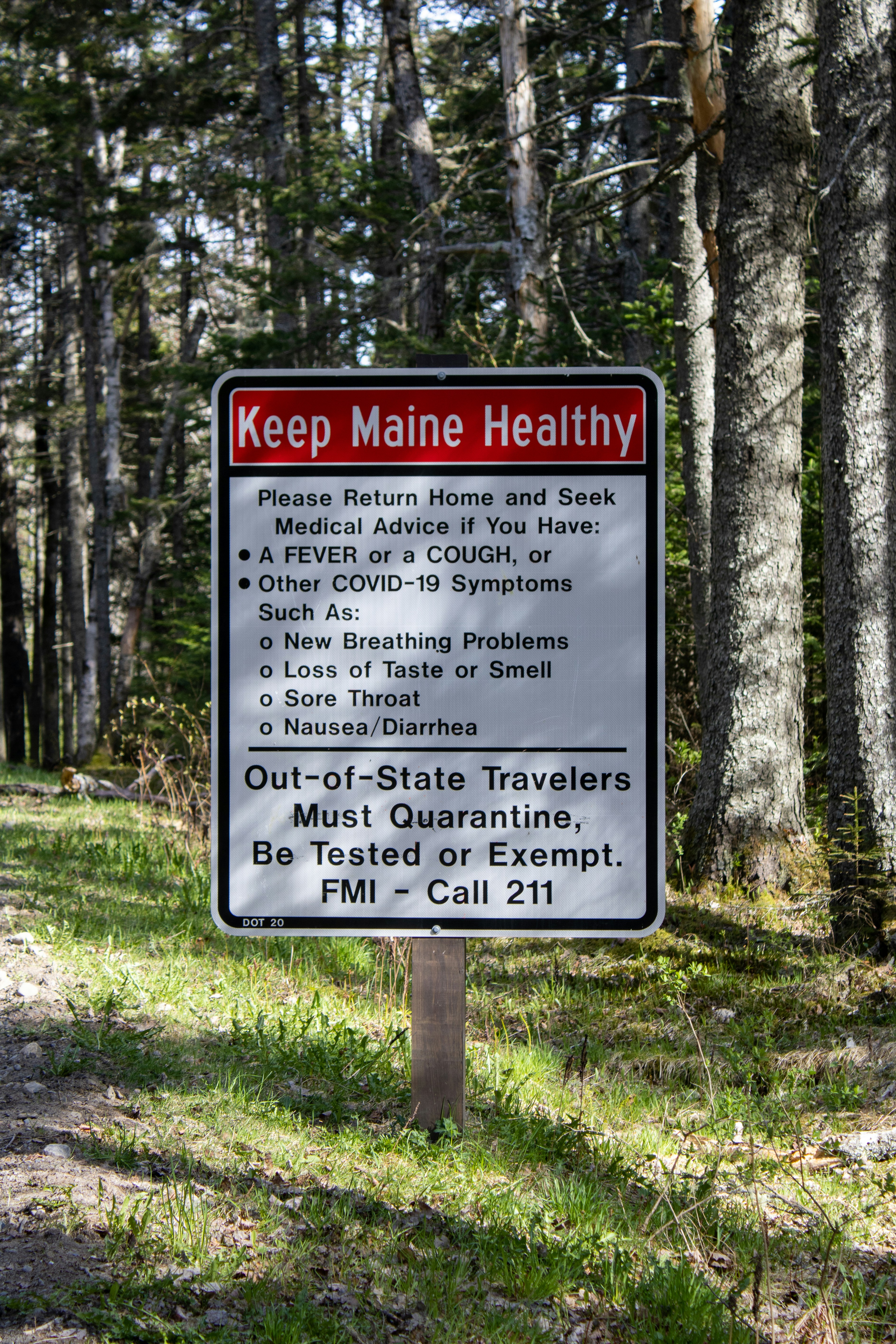 Keep Maine Healthy: Public Health Sign Beside Pines in a Sunlit Forest