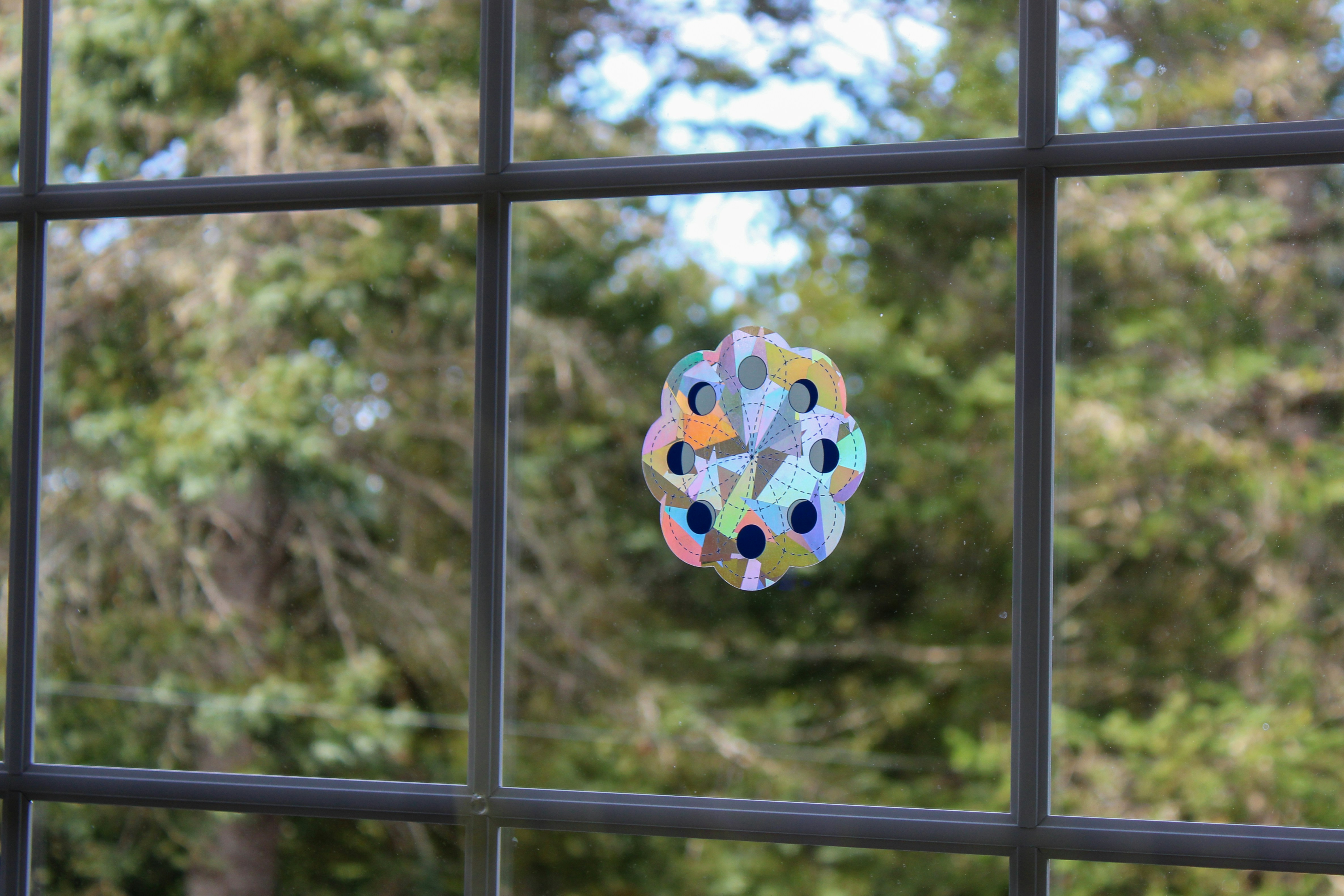 Whimsical Reflections: A Kaleidoscope of Nature